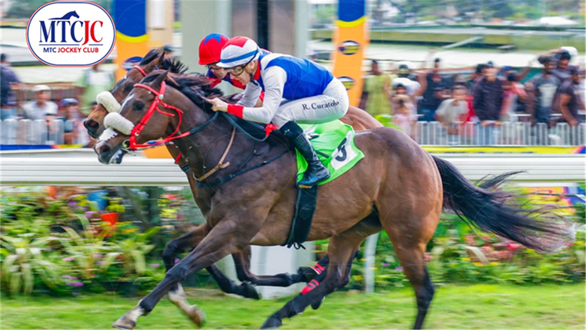 Horse Racing | Racing News | Betting | Mauritius Turf Club