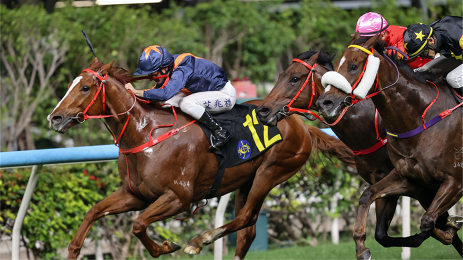Amazing Kid Aims To Extend Remarkable Run At Happy Valley | Racing and ...