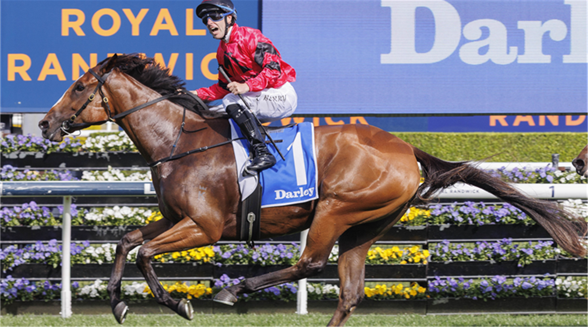Slipper, Flight Winners Trial At Randwick | Racing and Sports
