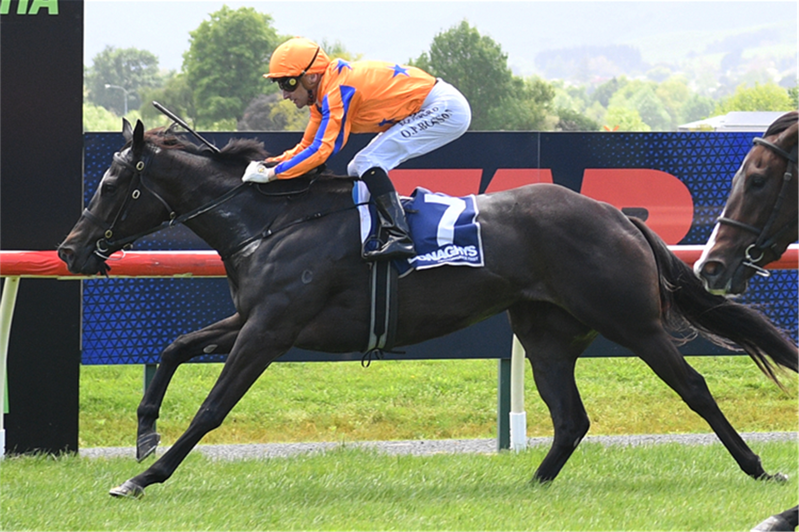 Ellerslie (New-Zealand) Racecourse | Thoroughbred | Races Today ...