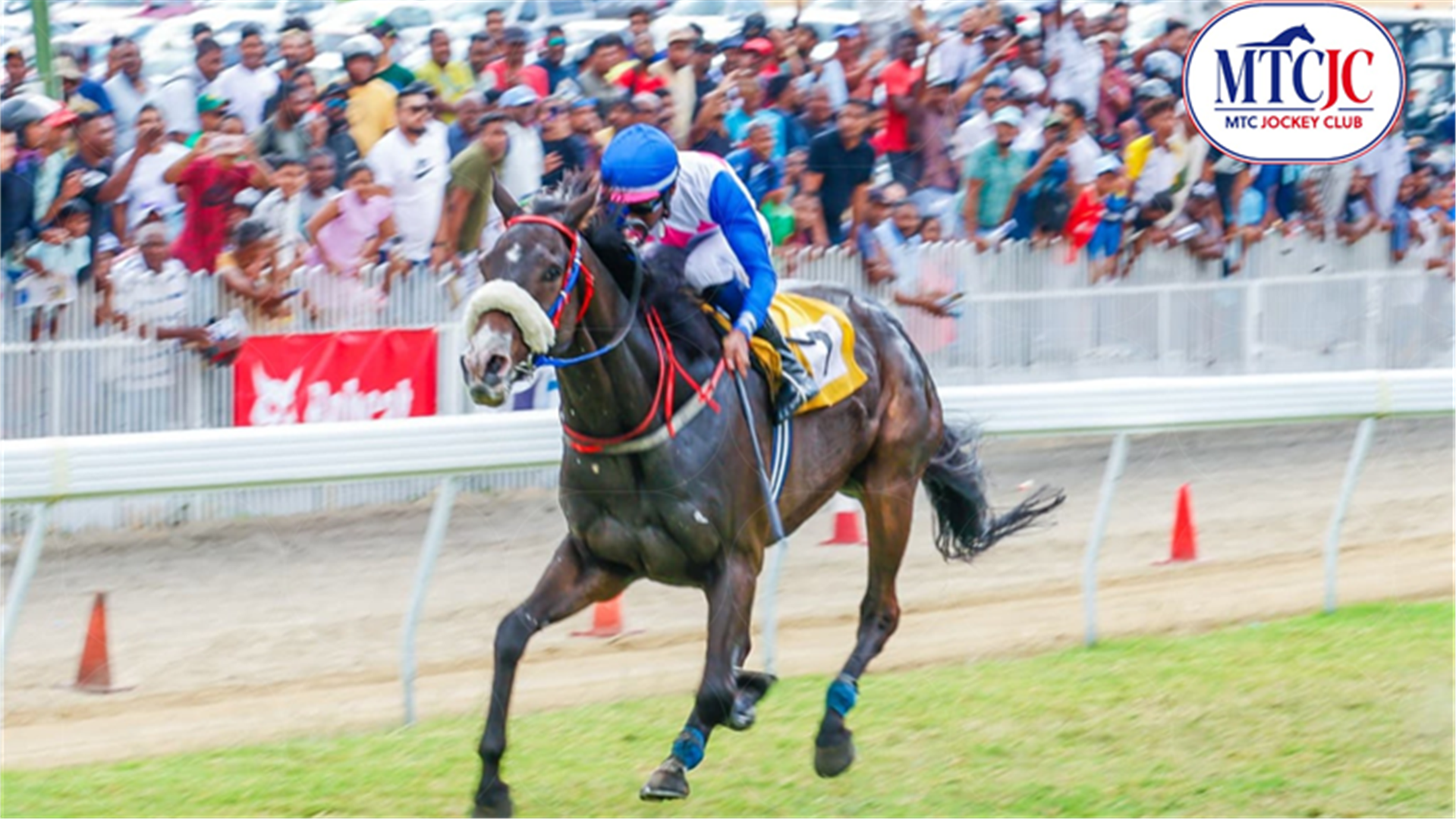Horse Racing | Racing News | Betting | Mauritius Turf Club