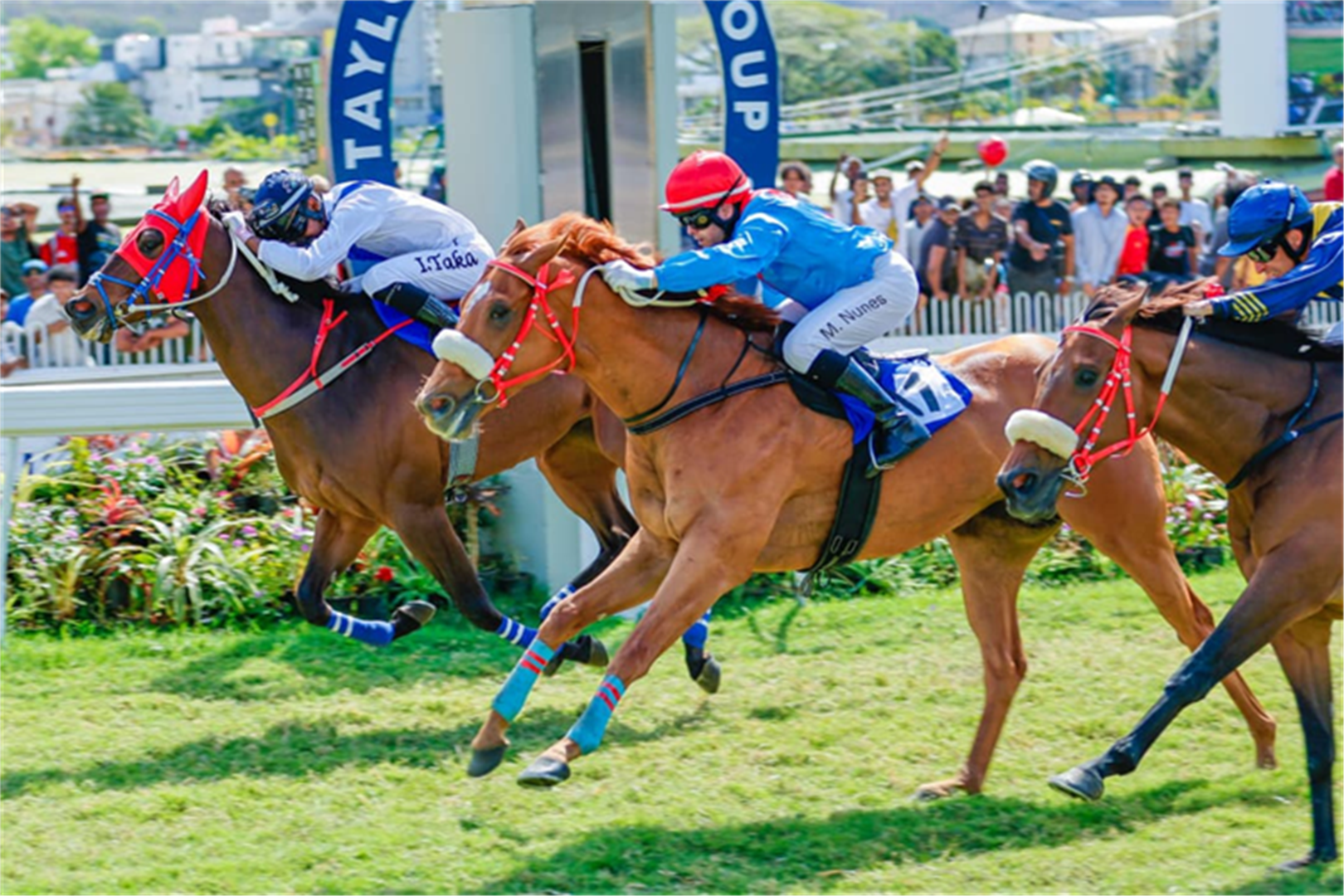Horse Racing | Racing News | Betting | Mauritius Turf Club