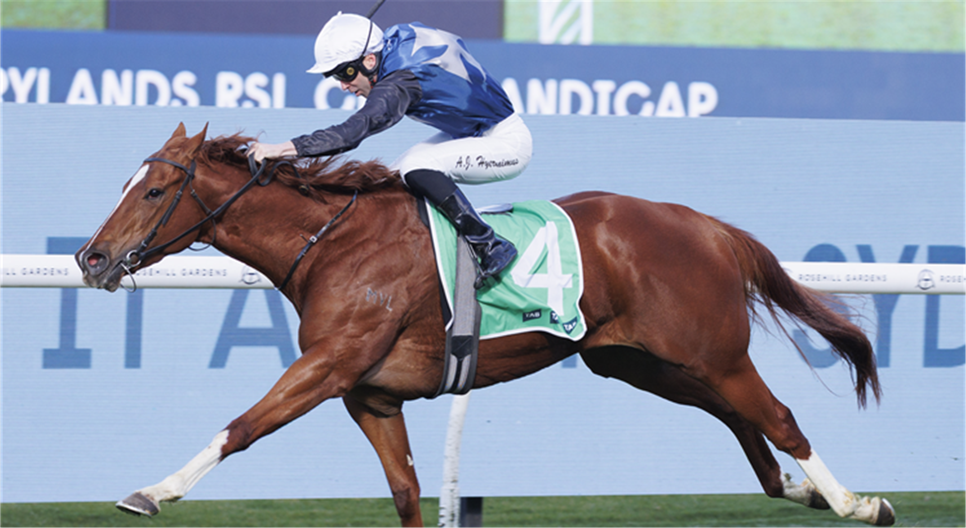 Coyle Undecided On Whether To Chase Warra Glory | Racing and Sports