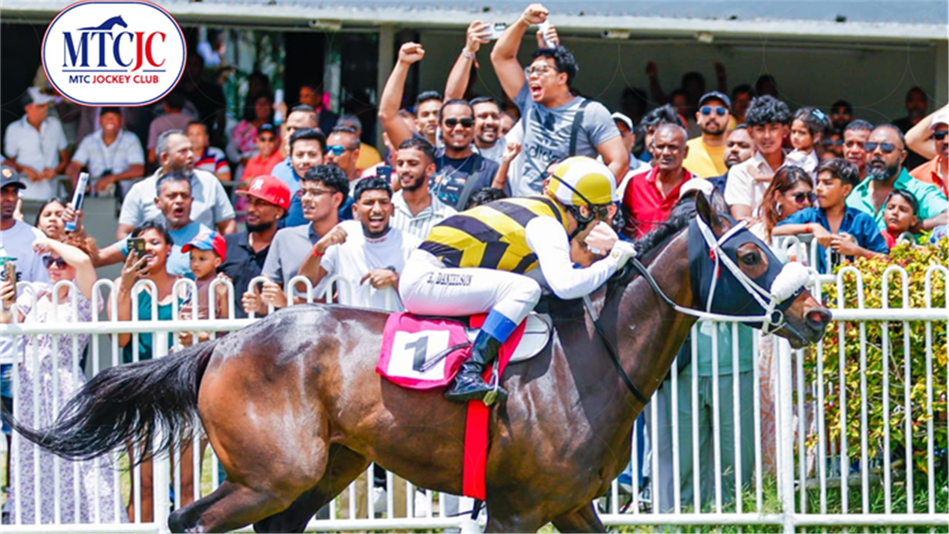 Catcha Dragon Breaks Maiden For Nagadoo Stable | Sky Racing World | Sky ...