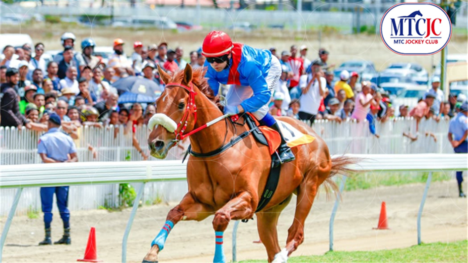 Horse Racing | Racing News | Betting | Mauritius Turf Club