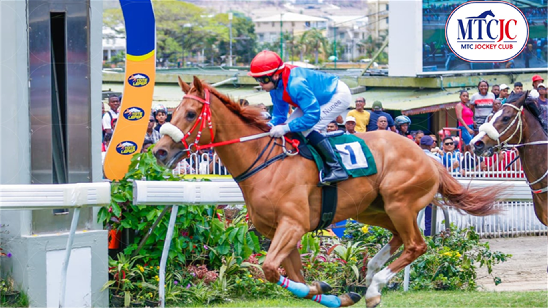 Horse Racing | Racing News | Betting | Mauritius Turf Club