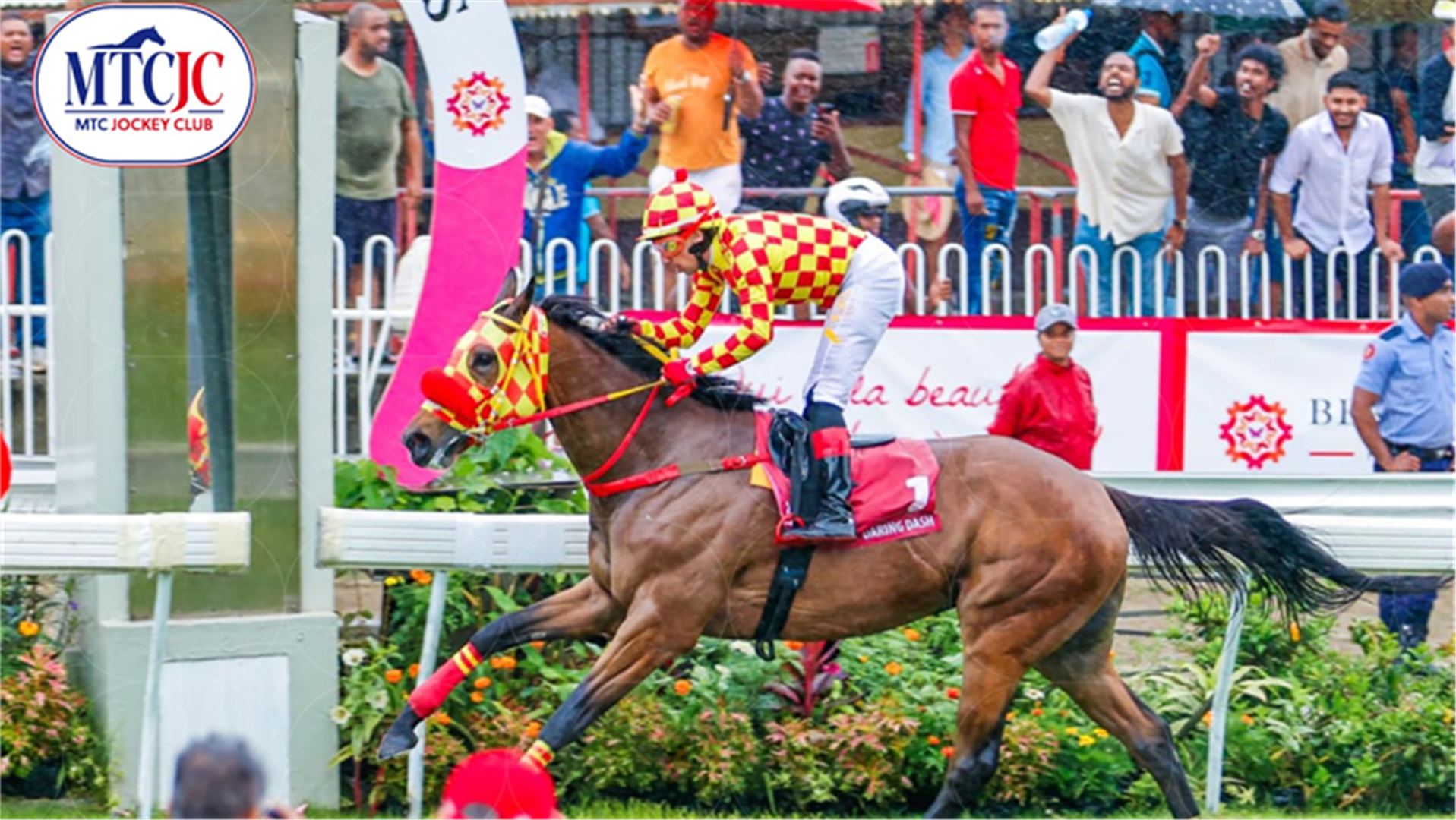 Horse Racing | Racing News | Betting | Mauritius Turf Club