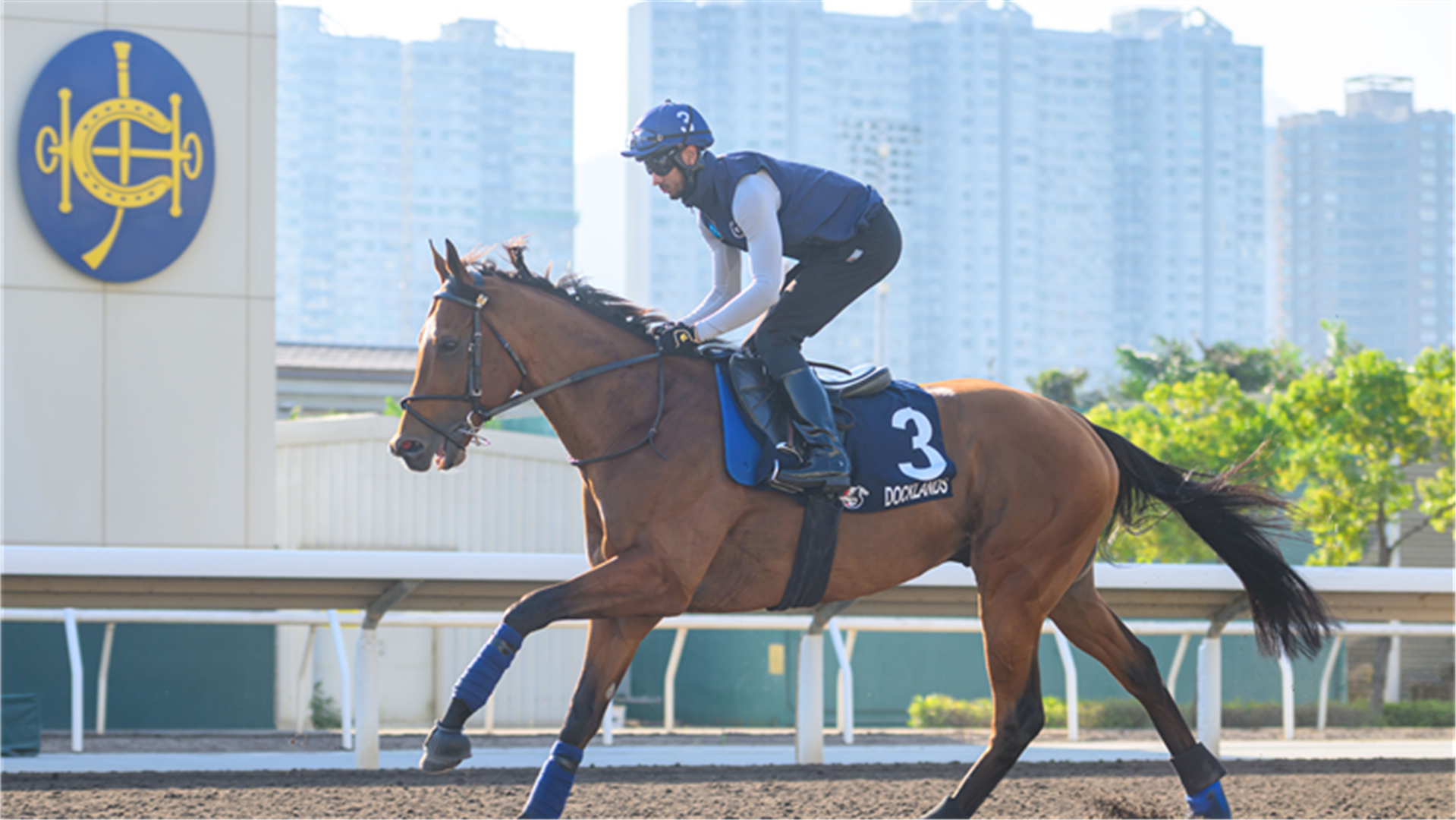 Harry Eustace Carries High Hopes In Docklands | Racing and Sports