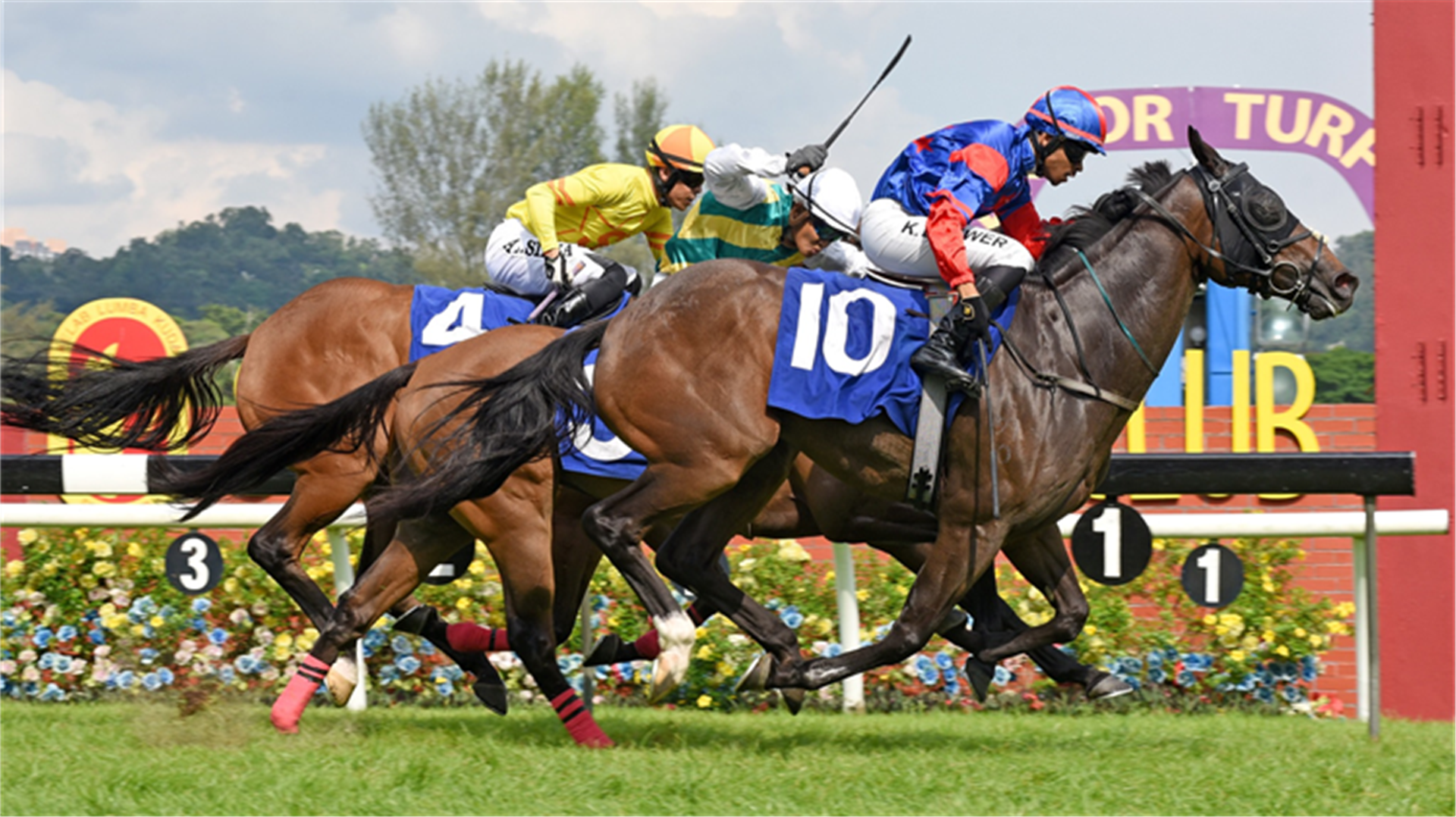 Eruption Rumbles On Training Track | Racing and Sports