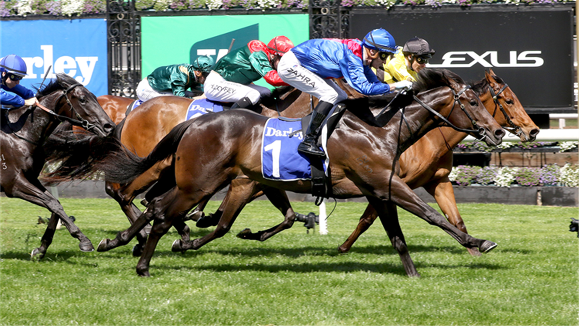 Lindsay Park Wins Two-Year-Old Opener With Per Incanto Colt | Racing ...