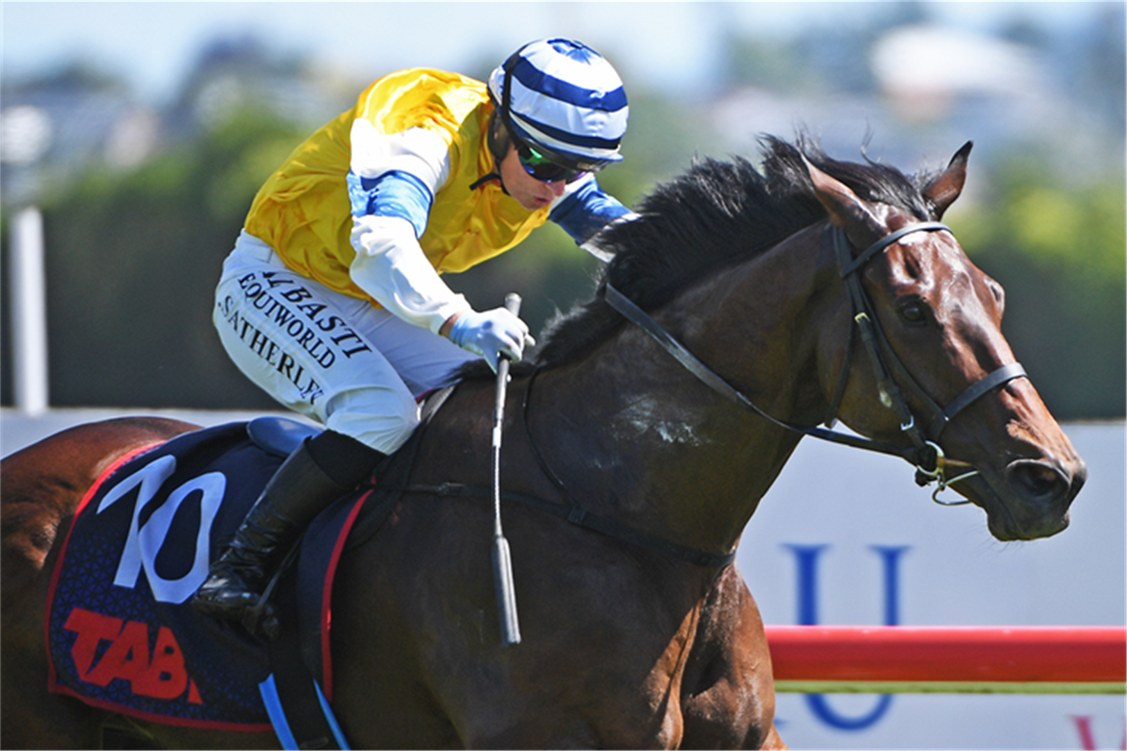 First Five Storms To Home Track Victory | Racing and Sports