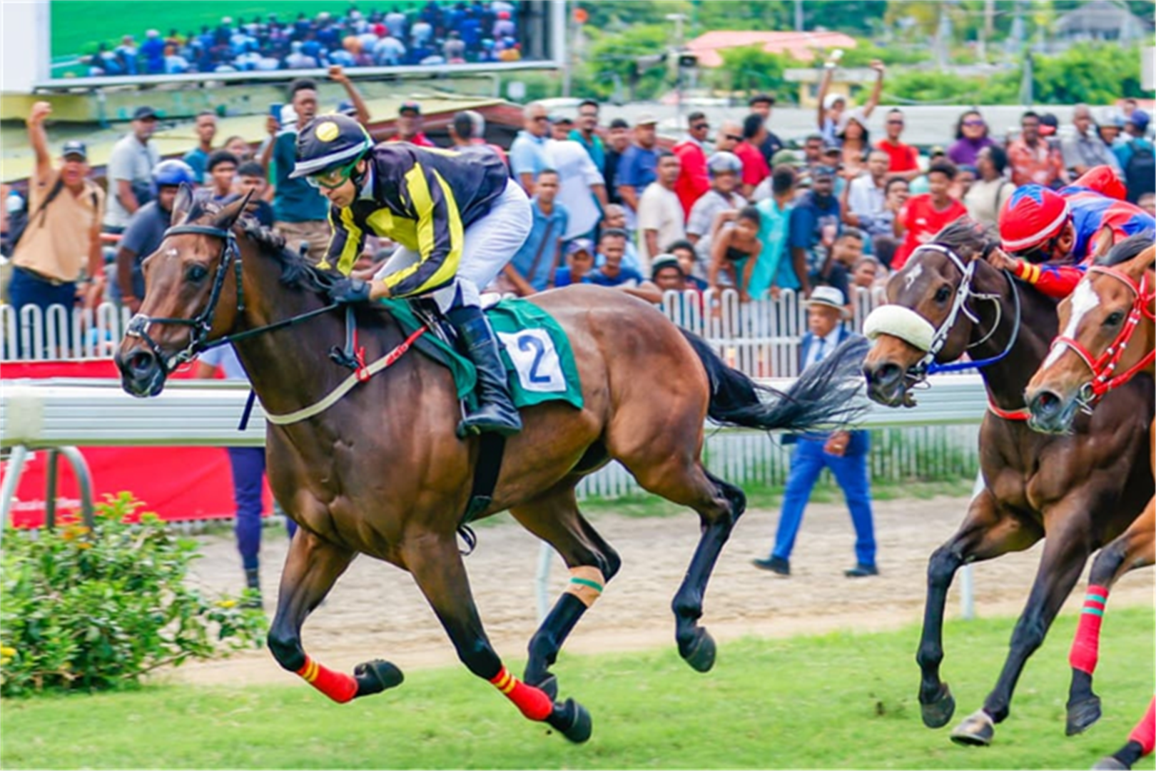 Horse Racing | Racing News | Betting | Mauritius Turf Club