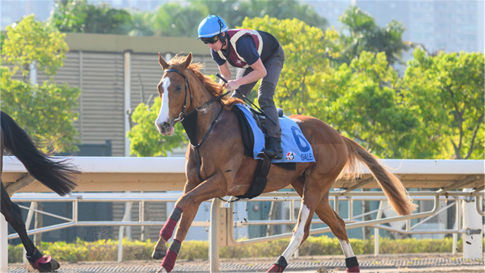 Longines Hkir Track Notes – Tuesday, 9 December, 2025 | Sky Racing ...