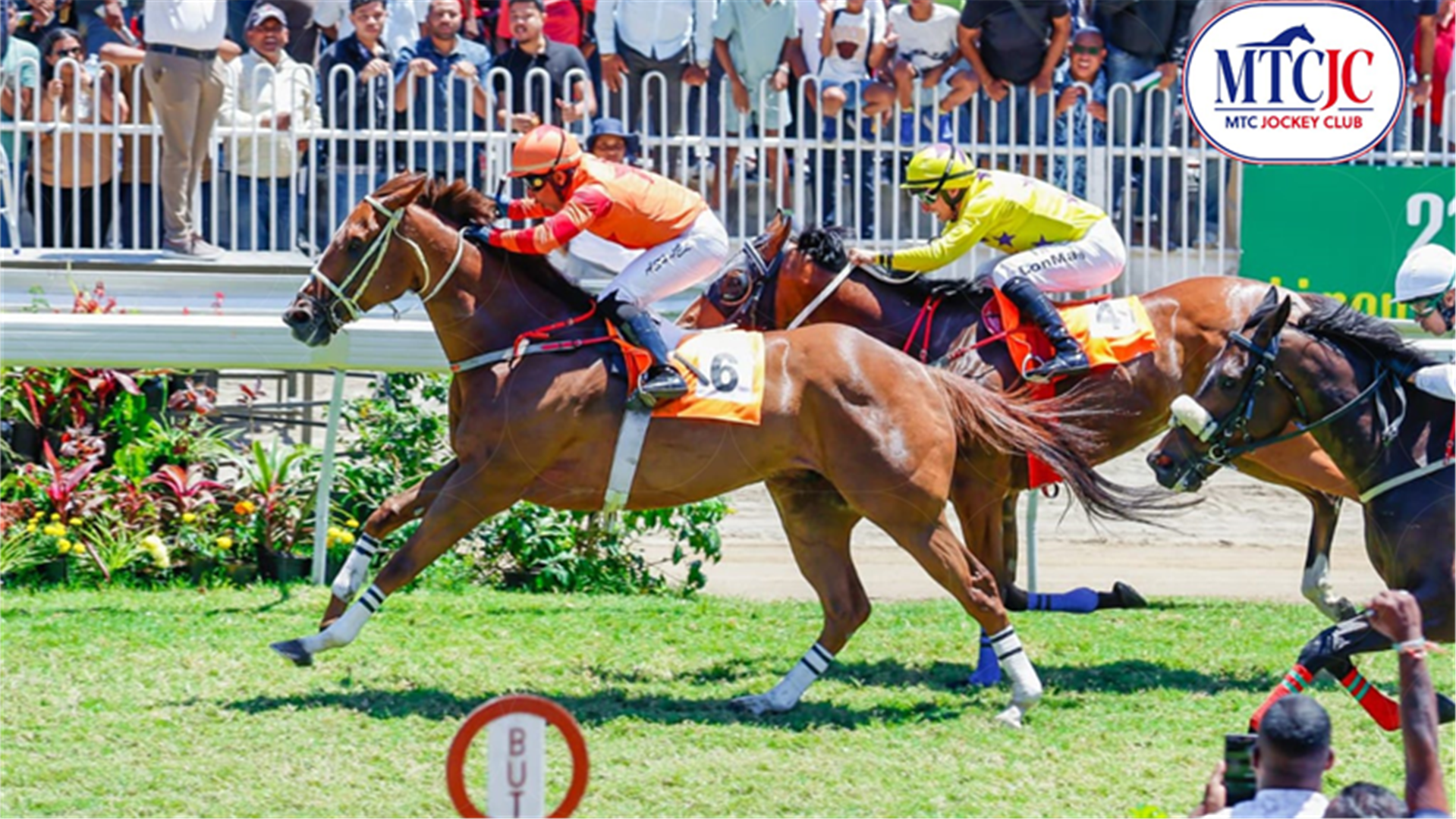 Horse Racing | Racing News | Betting | Mauritius Turf Club