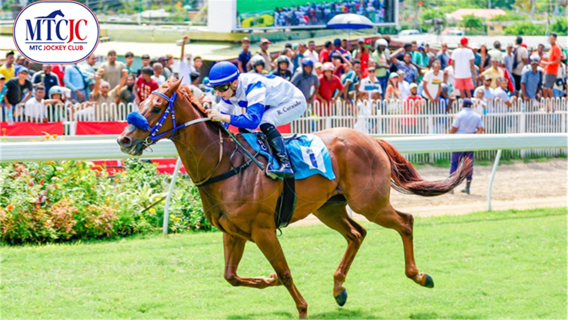 Horse Racing | Racing News | Betting | Mauritius Turf Club