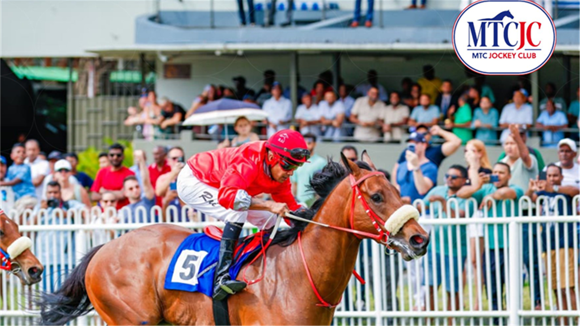 Horse Racing | Racing News | Betting | Mauritius Turf Club