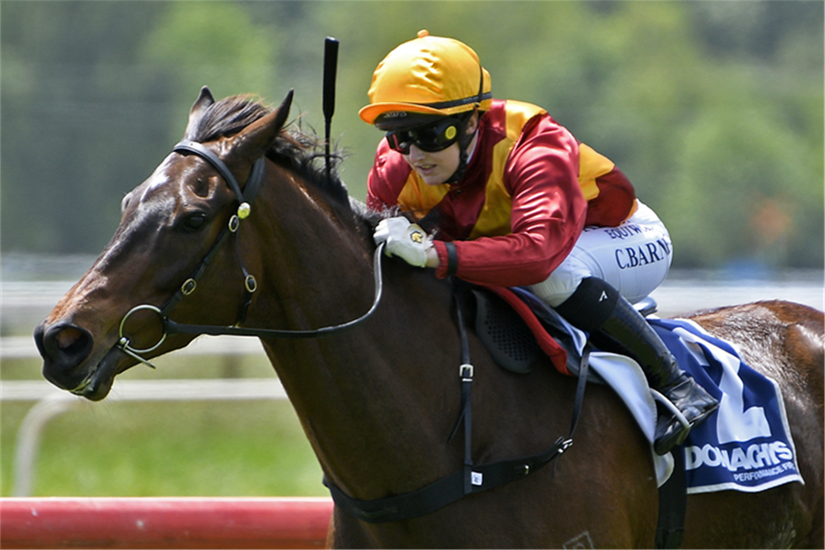 Adlington Building Towards Boxing Day With History Maker | Sky Racing ...