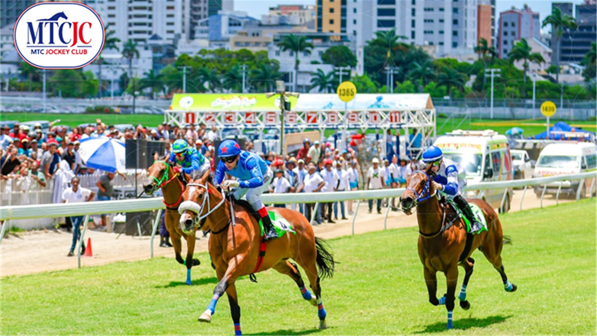 Indigenous Impresses On Debut At Meeting 16 | Racing and Sports