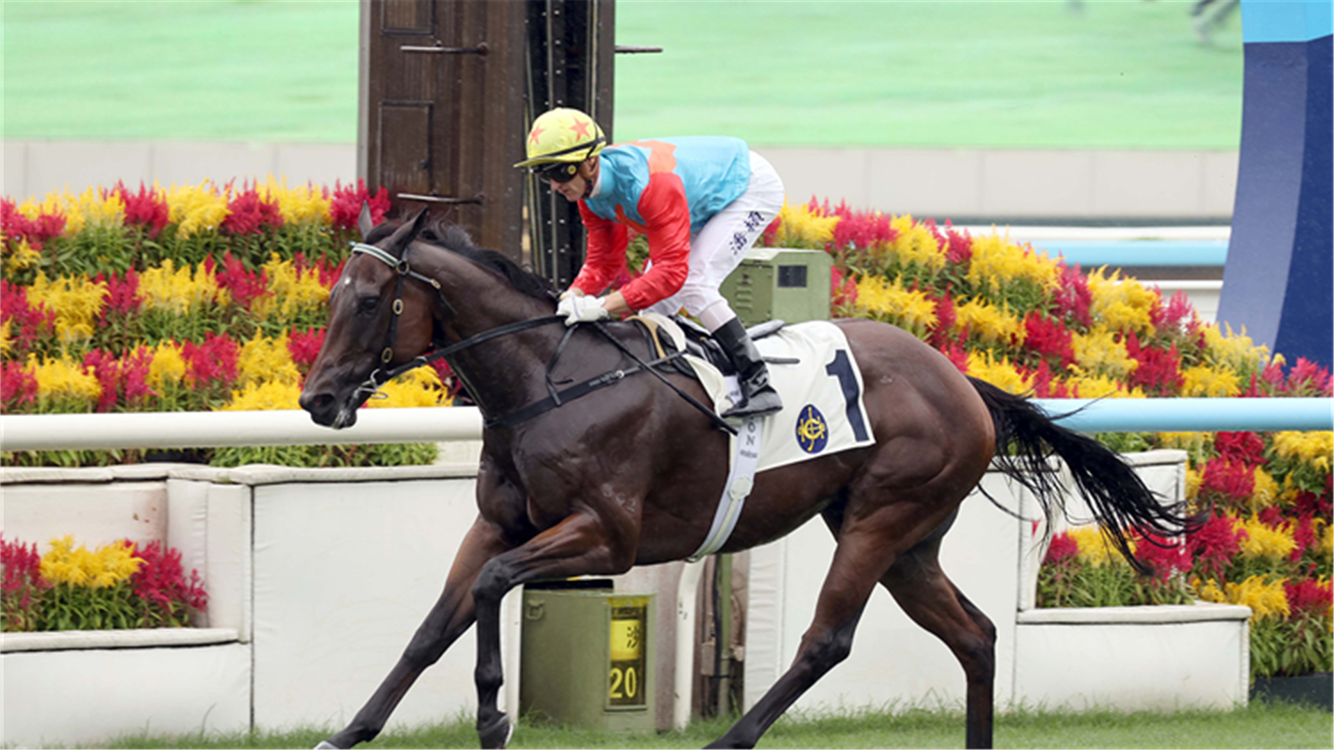 Ka Ying Rising Romps To 13th Straight Win As Zac Purton Slots Five ...