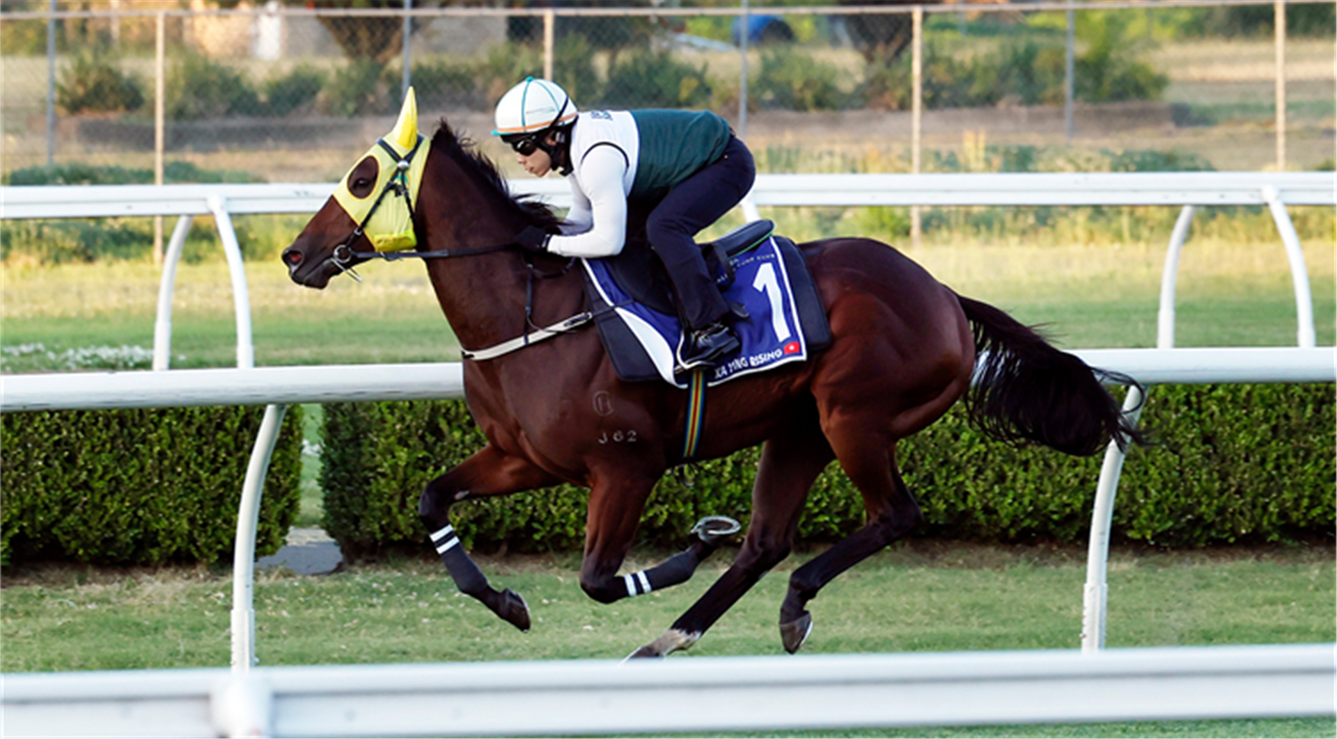 Hayes Says Ka Ying Rising Is On Target Ahead Of The Everest | Sky ...