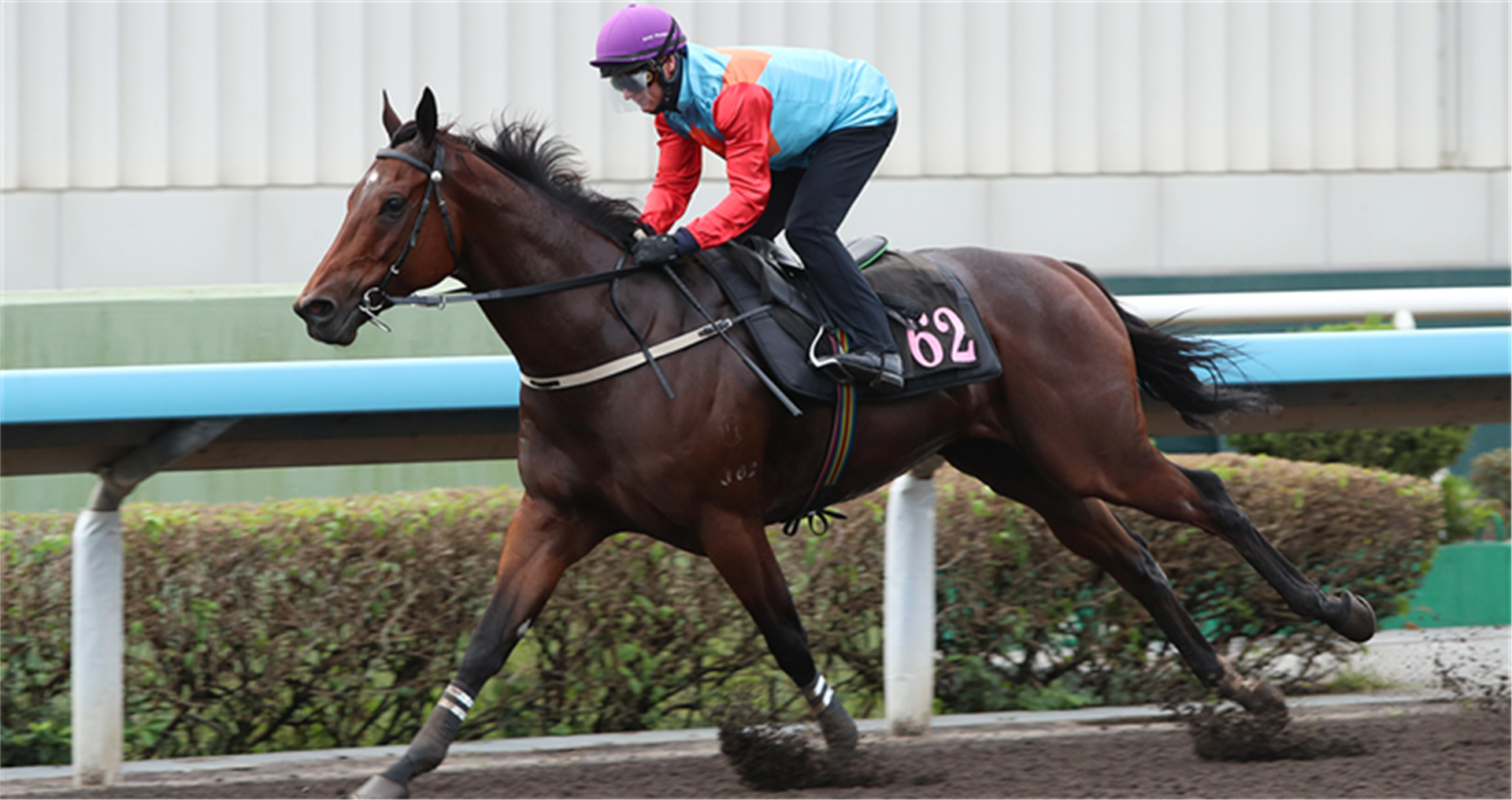Ka Ying Rising Gallop Pleases Hayes Ahead Of Longines Hong Kong ...