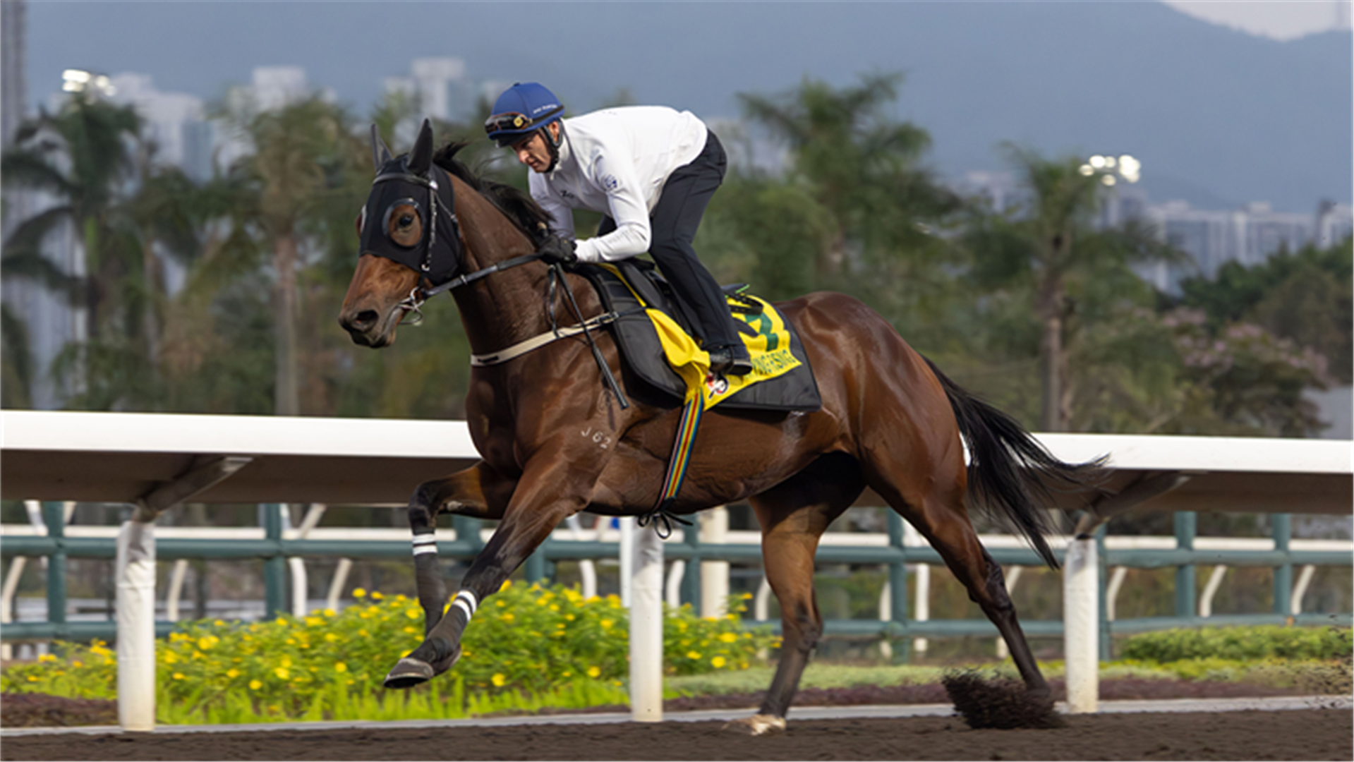 World’S Best Sprinter Ka Ying Rising Goes For 16 Straight In Longines ...