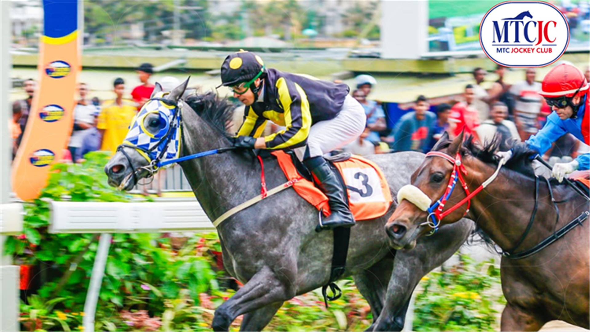 Horse Racing | Racing News | Betting | Mauritius Turf Club