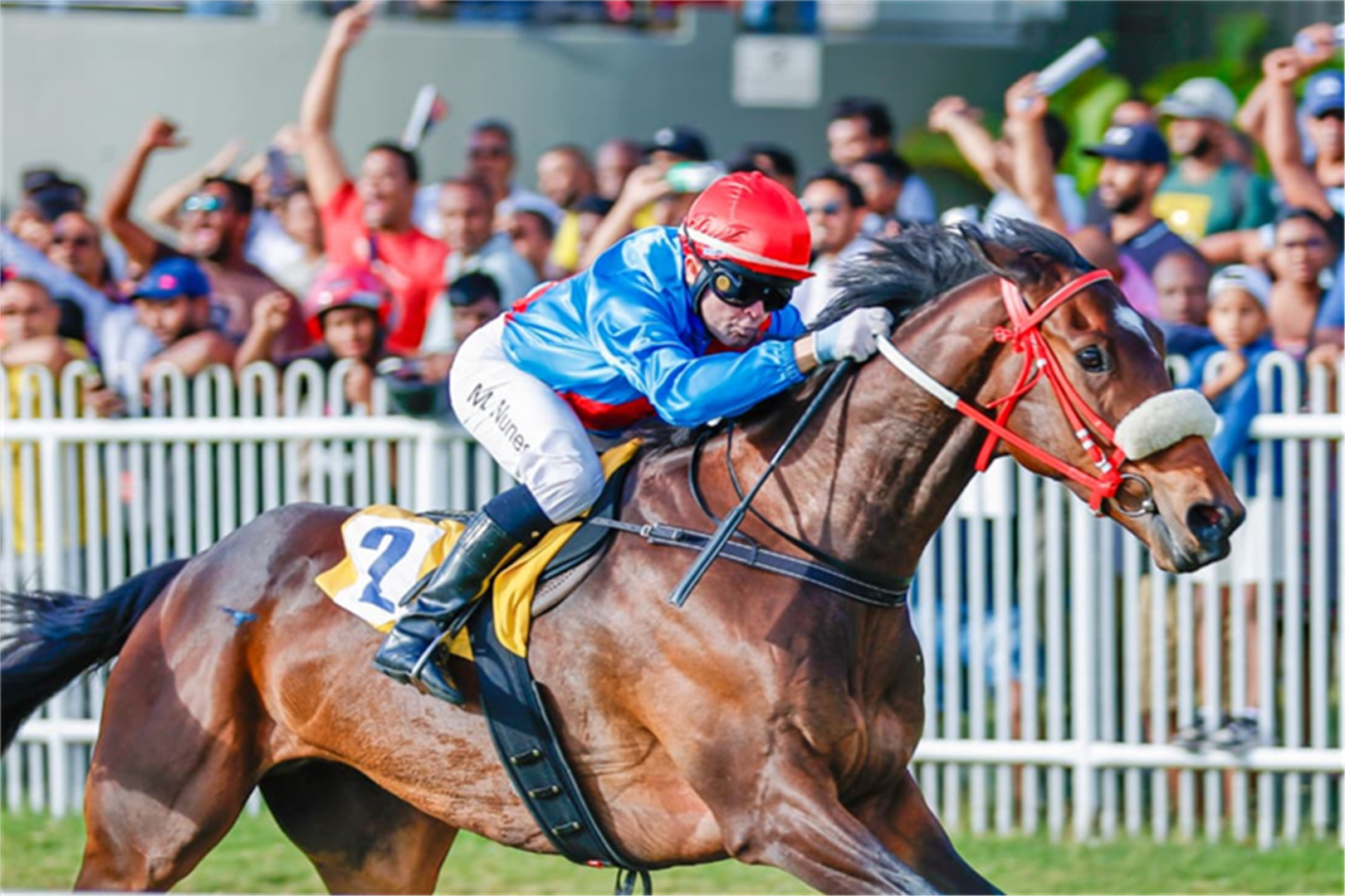 Horse Racing | Racing News | Betting | Mauritius Turf Club