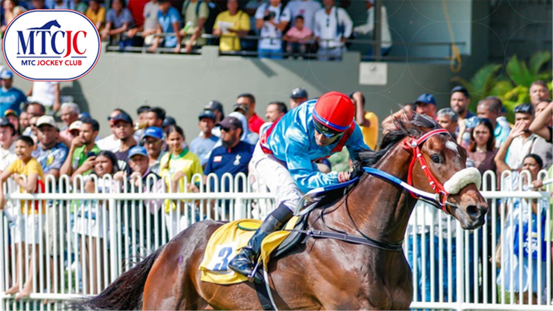 Horse Racing | Racing News | Betting | Mauritius Turf Club