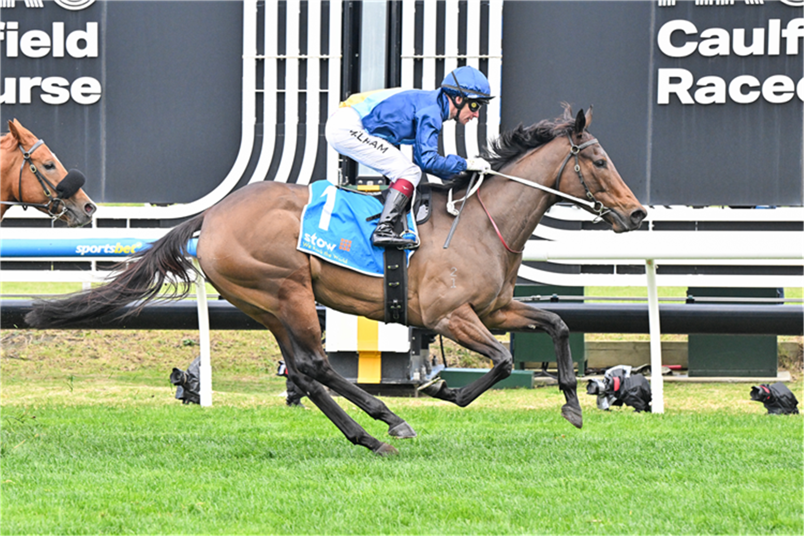 Caulfield Gallop For On Display Ahead Of Flemington | Racing and Sports