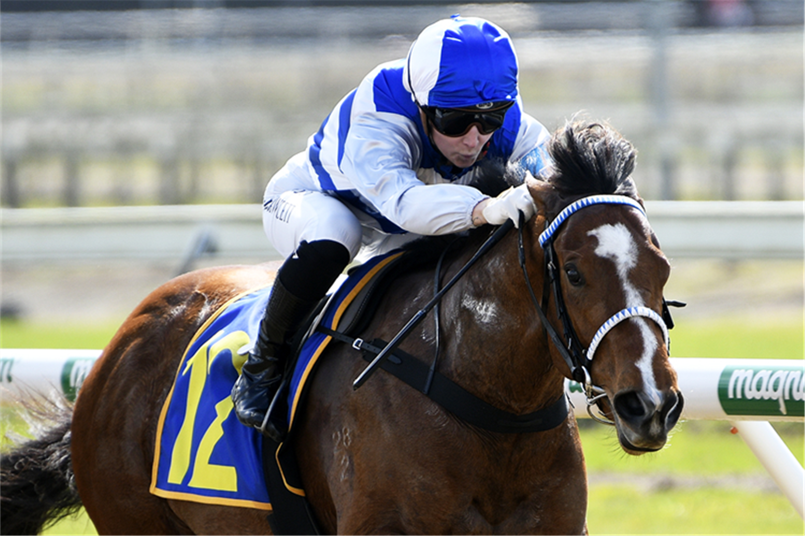 Well-Bred Filly Scores On Debut | Sky Racing World | Sky Racing World