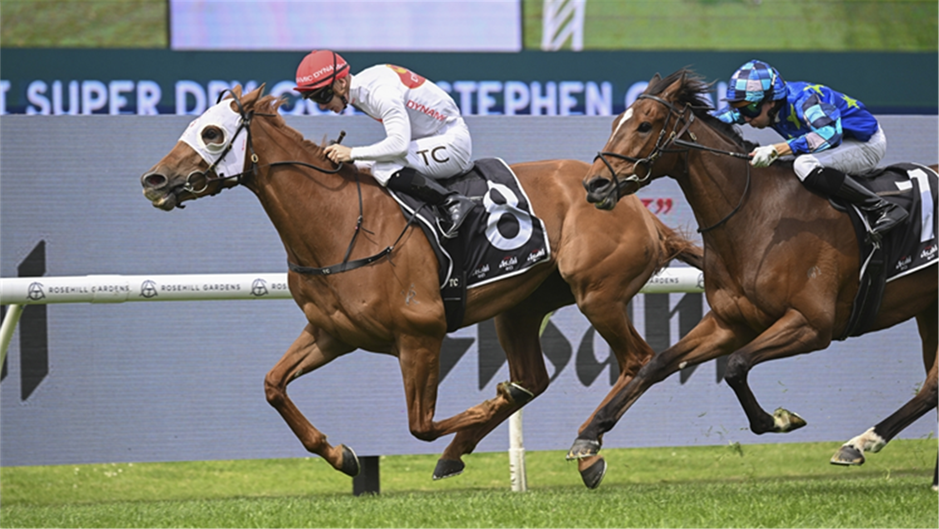 Piggyback Wins Group 3 Asahi Super Dry Colin Stephen Quality: Post Race ...