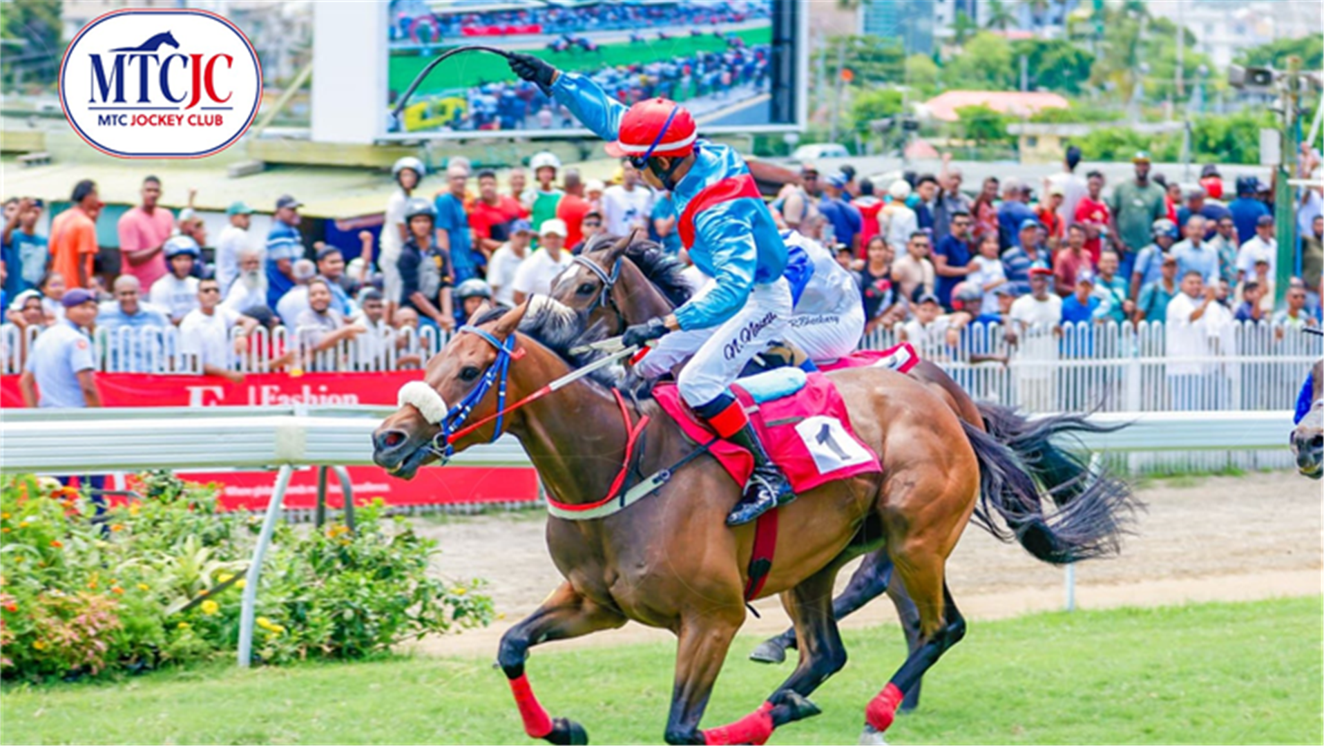 River Hawk Secures Dream Debut For Apprentice Nastili | Sky Racing ...