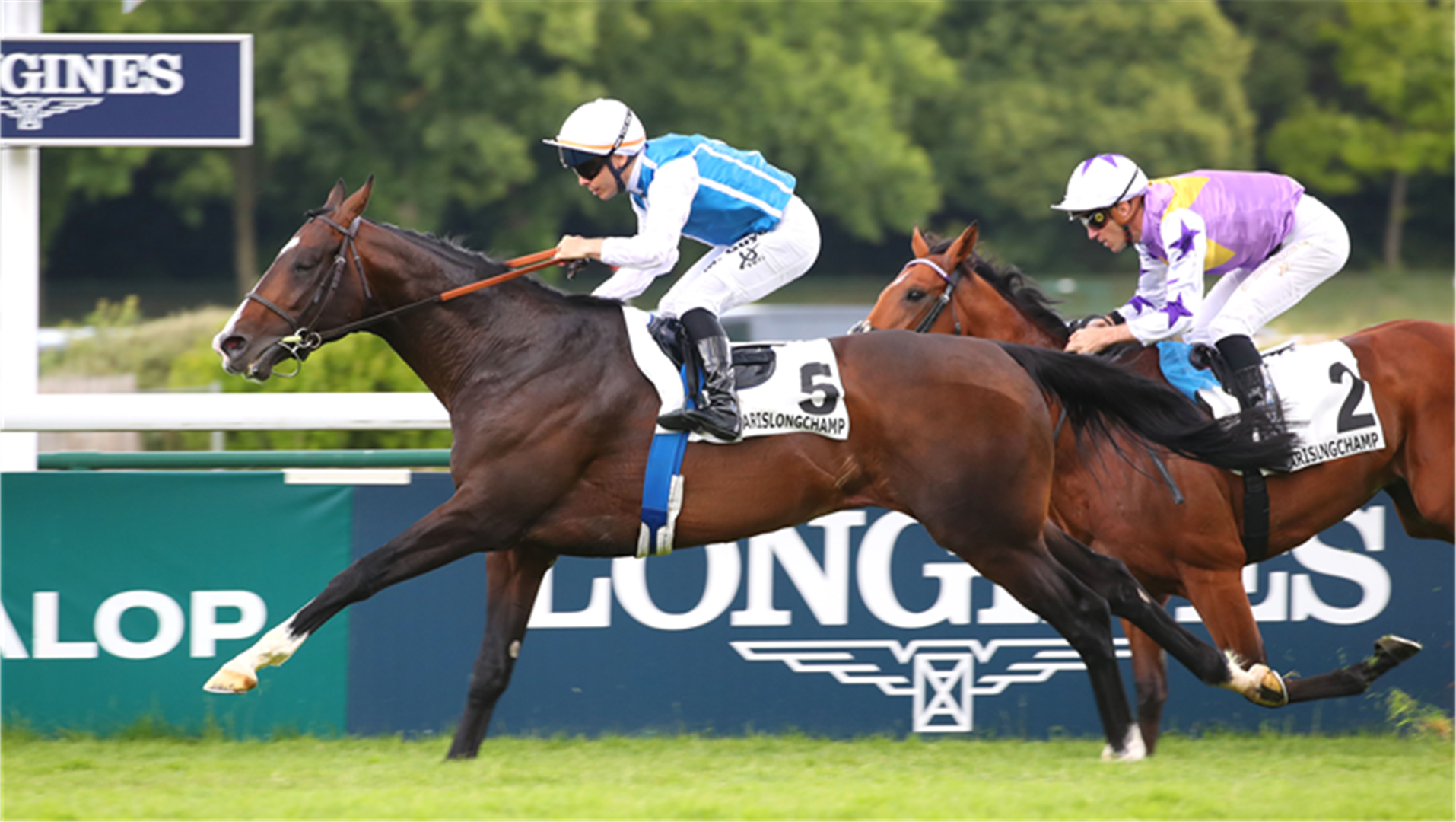 Arc Third Sosie Looks To Be A Trump Card For Legendary Trainer Andre ...