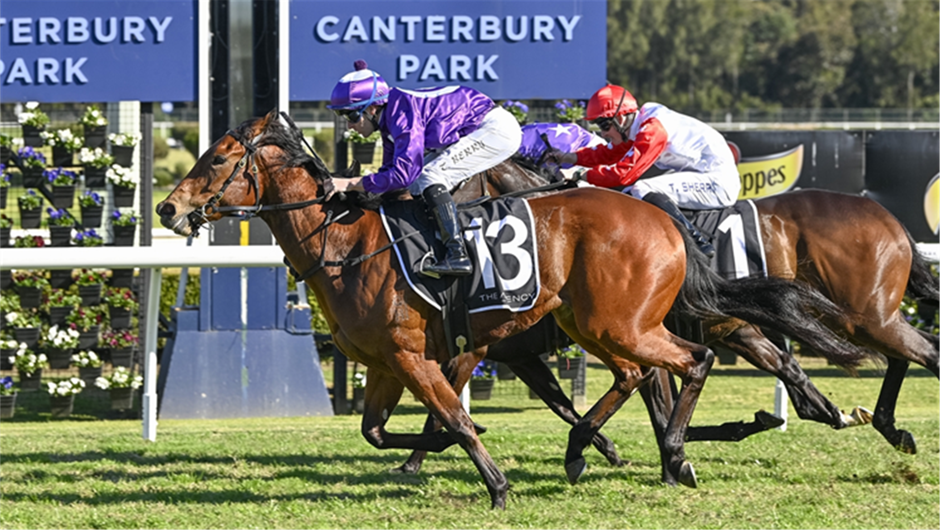 Jason Witham's Canterbury Picks - Tuesday, 9 September | Sky Racing ...