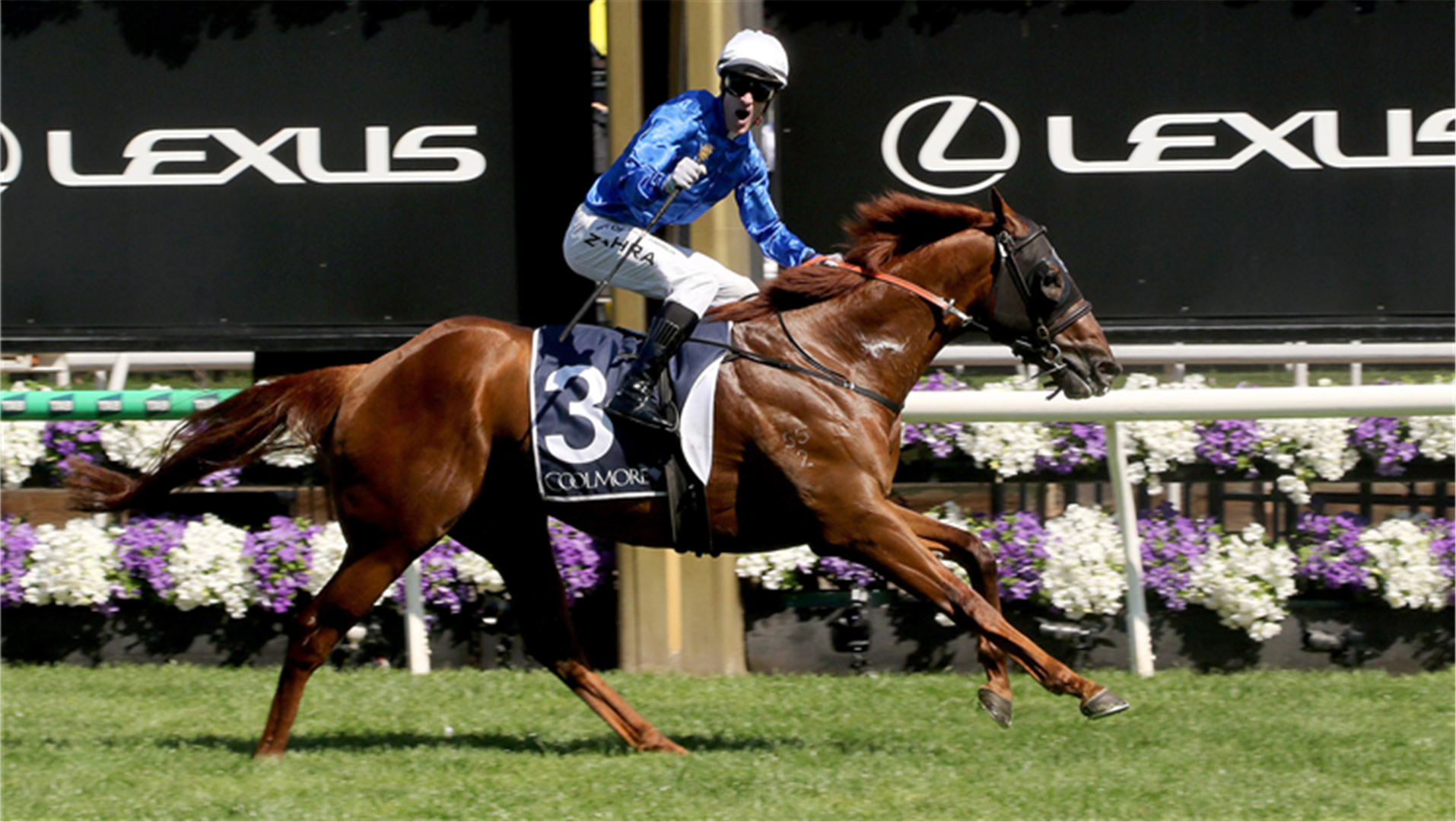 Tentyris Trial Gets Zahra Back In The Groove | Racing and Sports