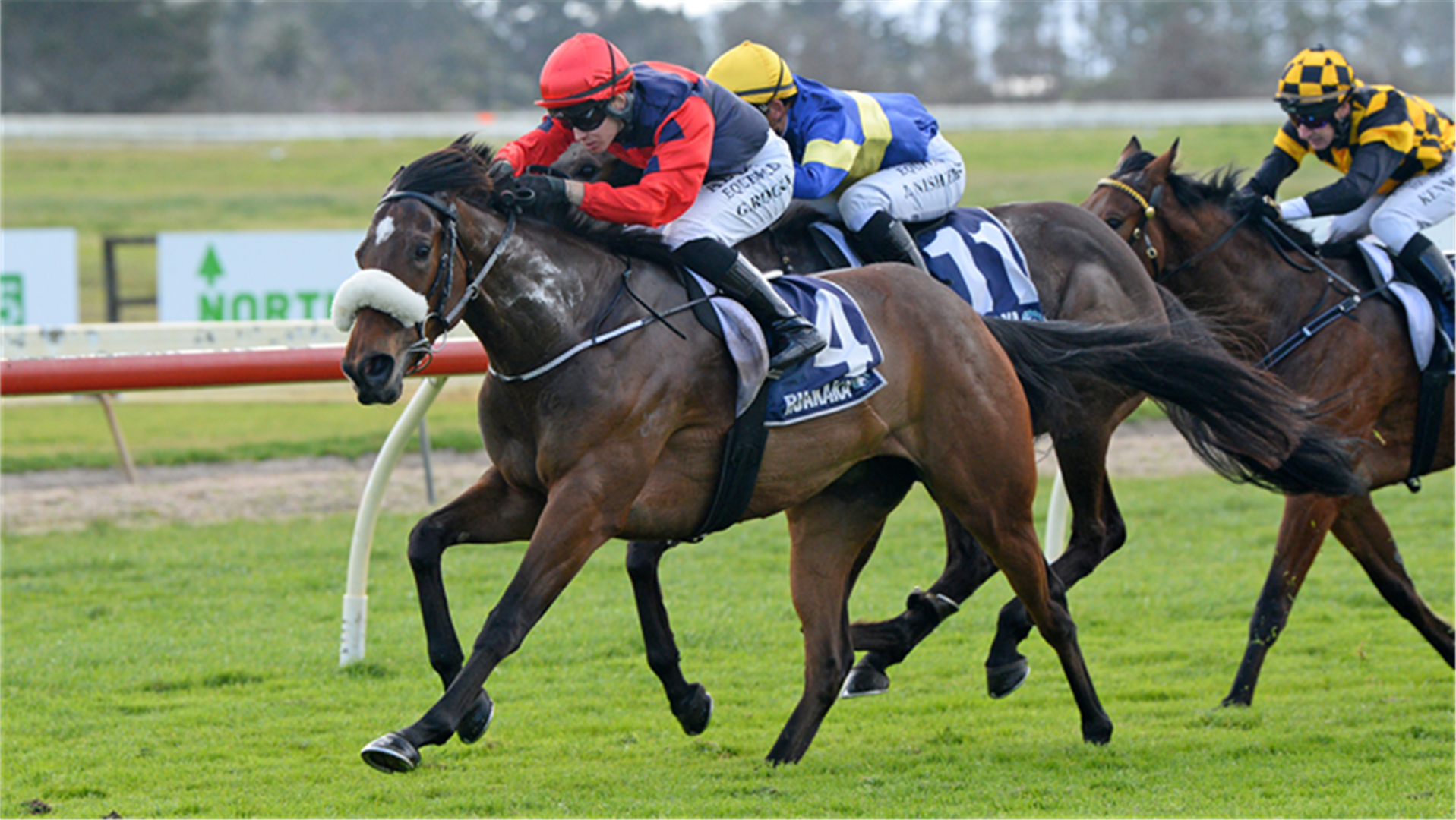 Tab Racing Club To Wind Down | Racing and Sports