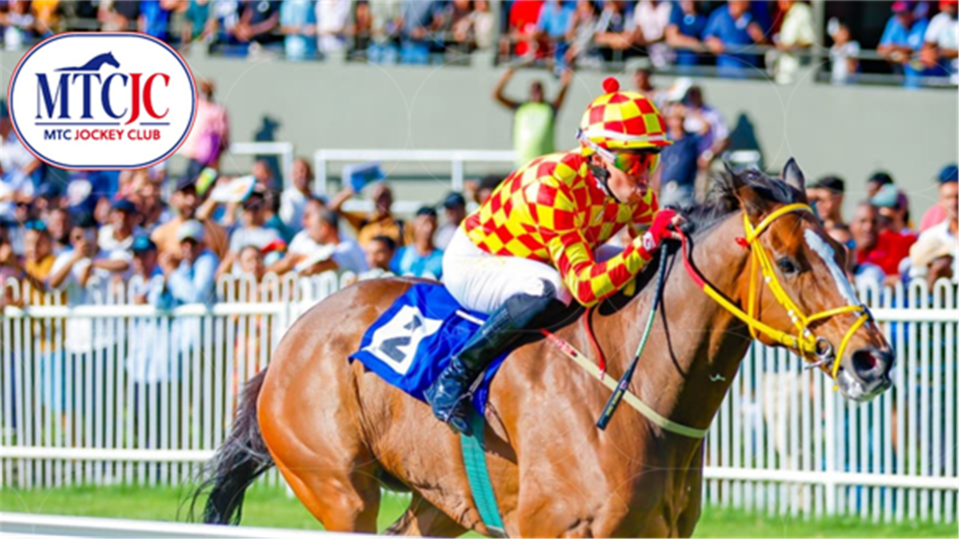 Horse Racing | Racing News | Betting | Mauritius Turf Club
