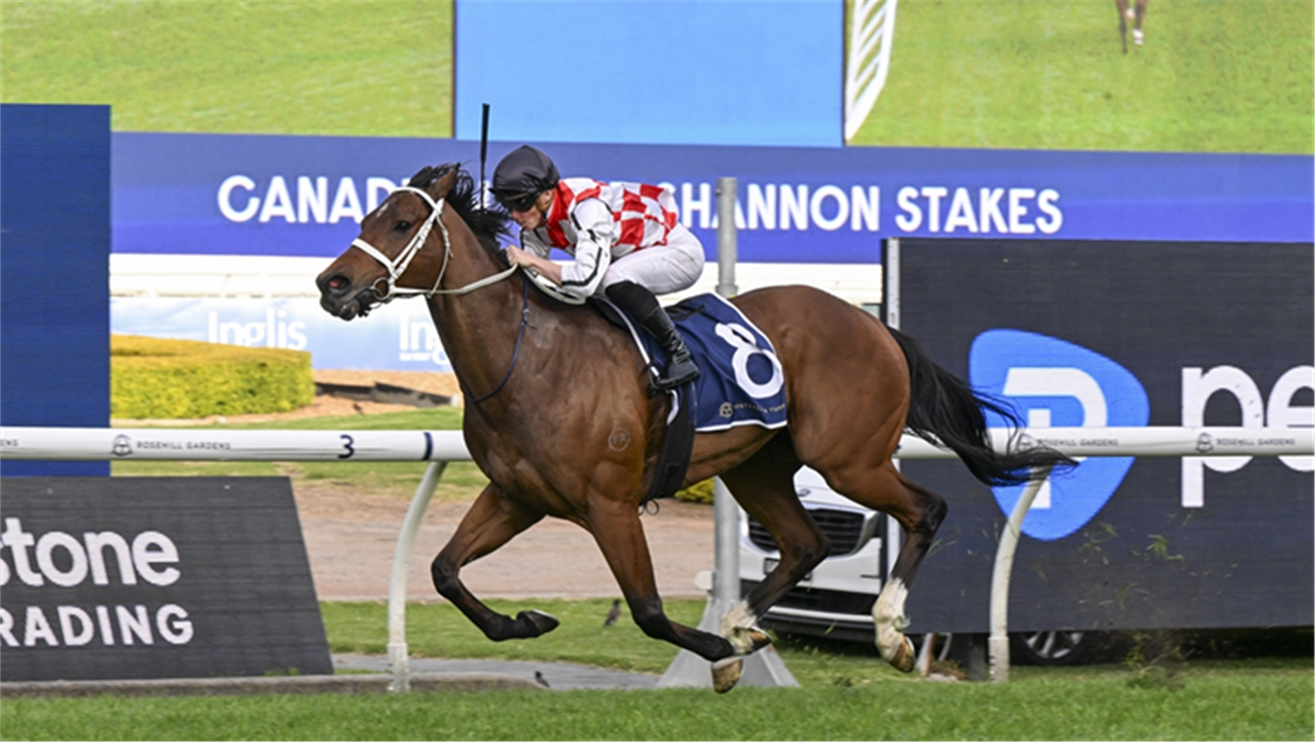 Waterford Wins Group 2 Canadian Club Shannon Stakes: Post Race Trainer ...