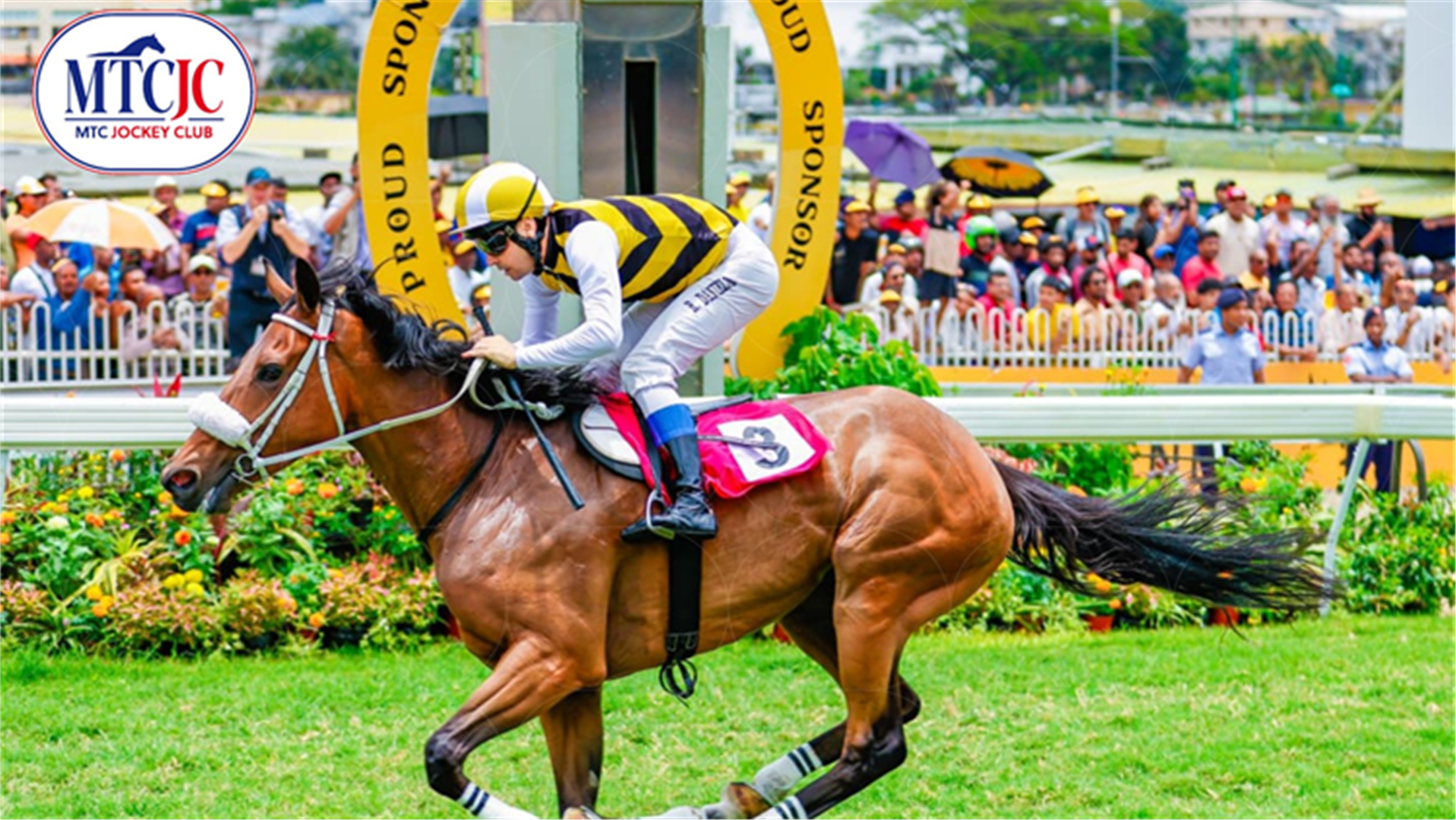 Horse Racing | Racing News | Betting | Mauritius Turf Club