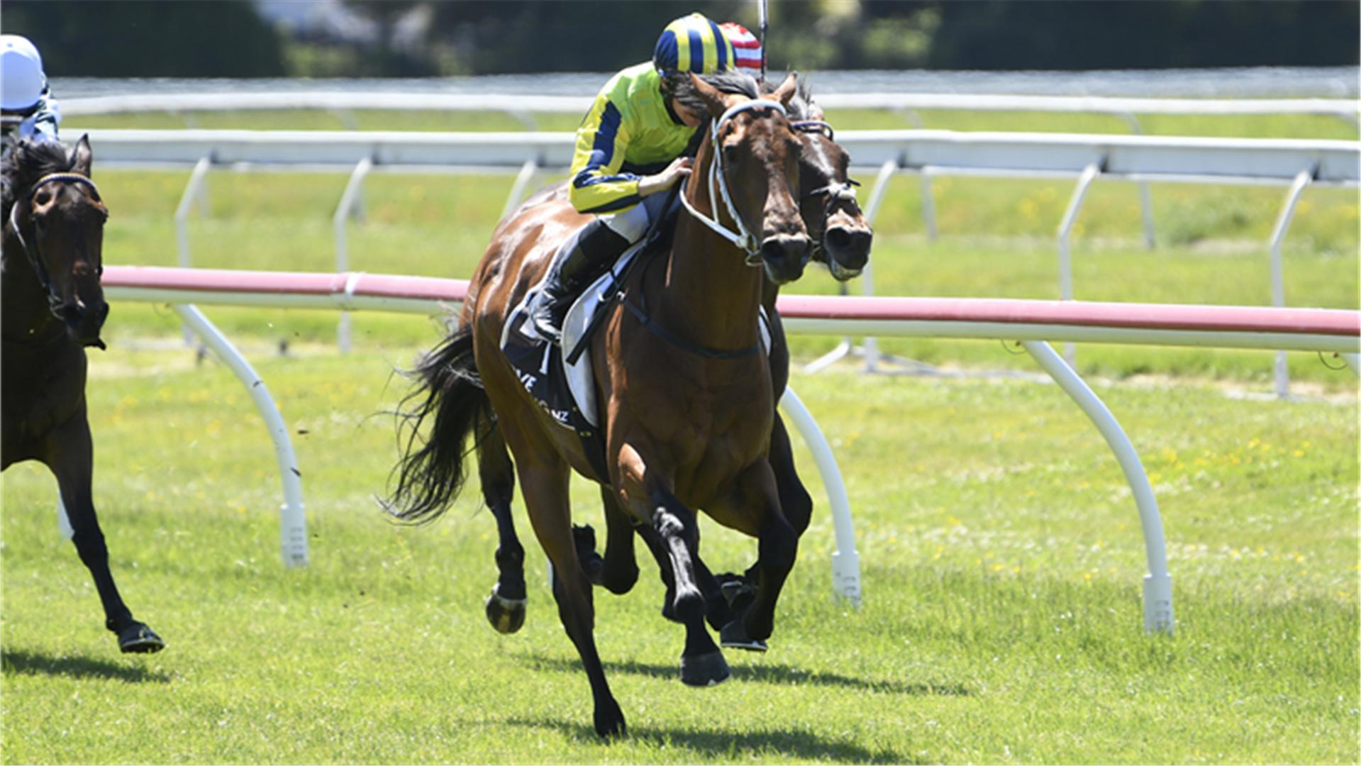 Ammirati Ready For Next Derby Test | Racing and Sports