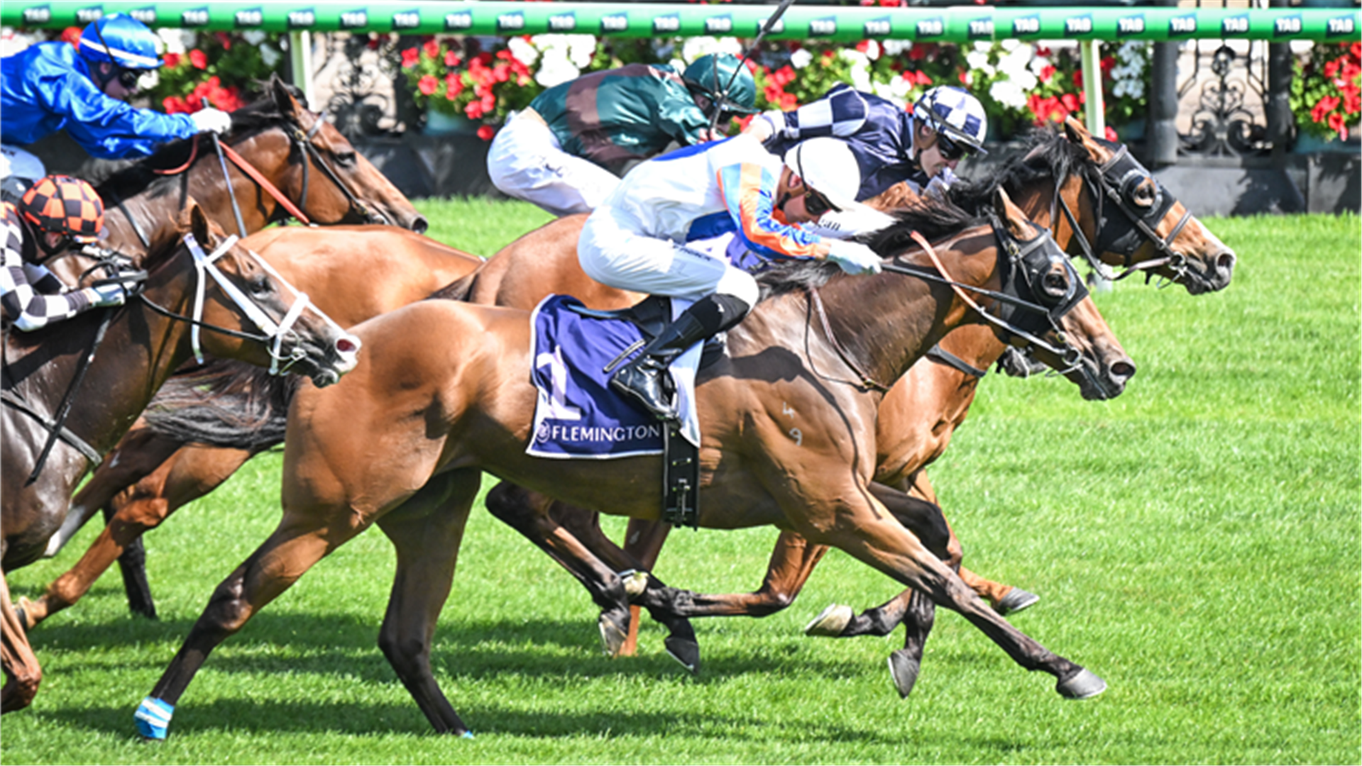 Vahala’S Ruler Up For Standish Fight | Racing and Sports