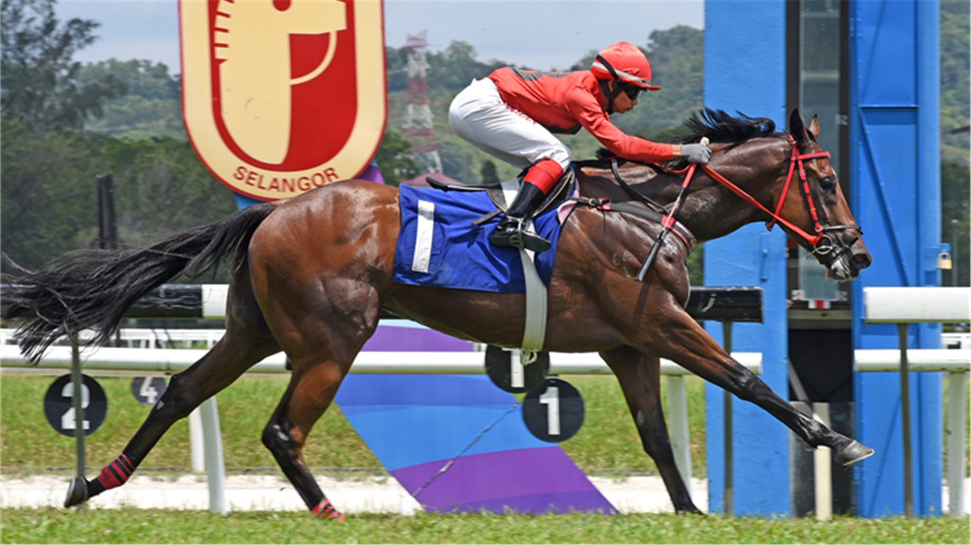 Selangor Race Preview: Sunday, 26th April, 2026 | Racing and Sports