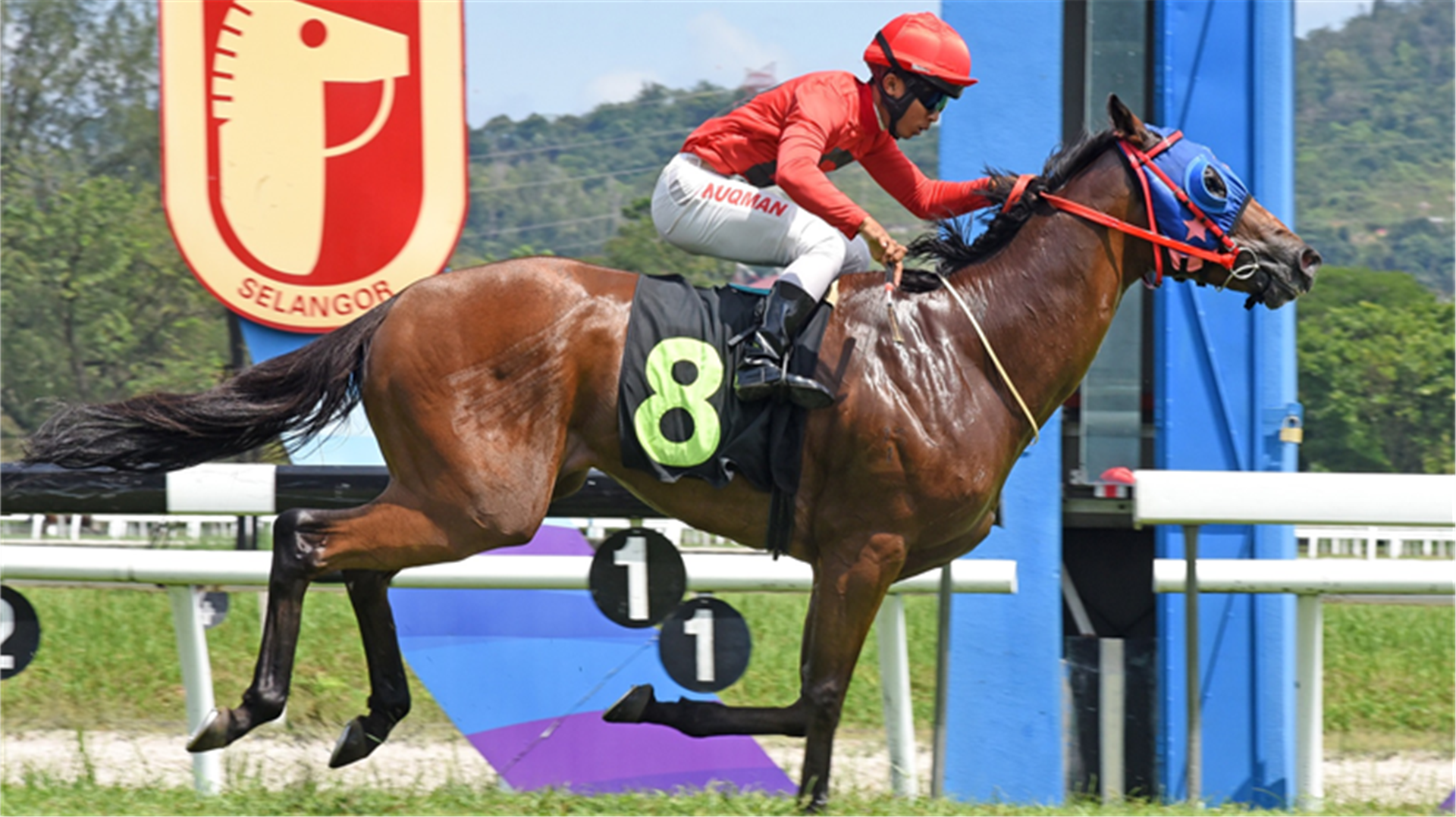 Johnny Lim’S Trio All Set To Cash In | Racing and Sports