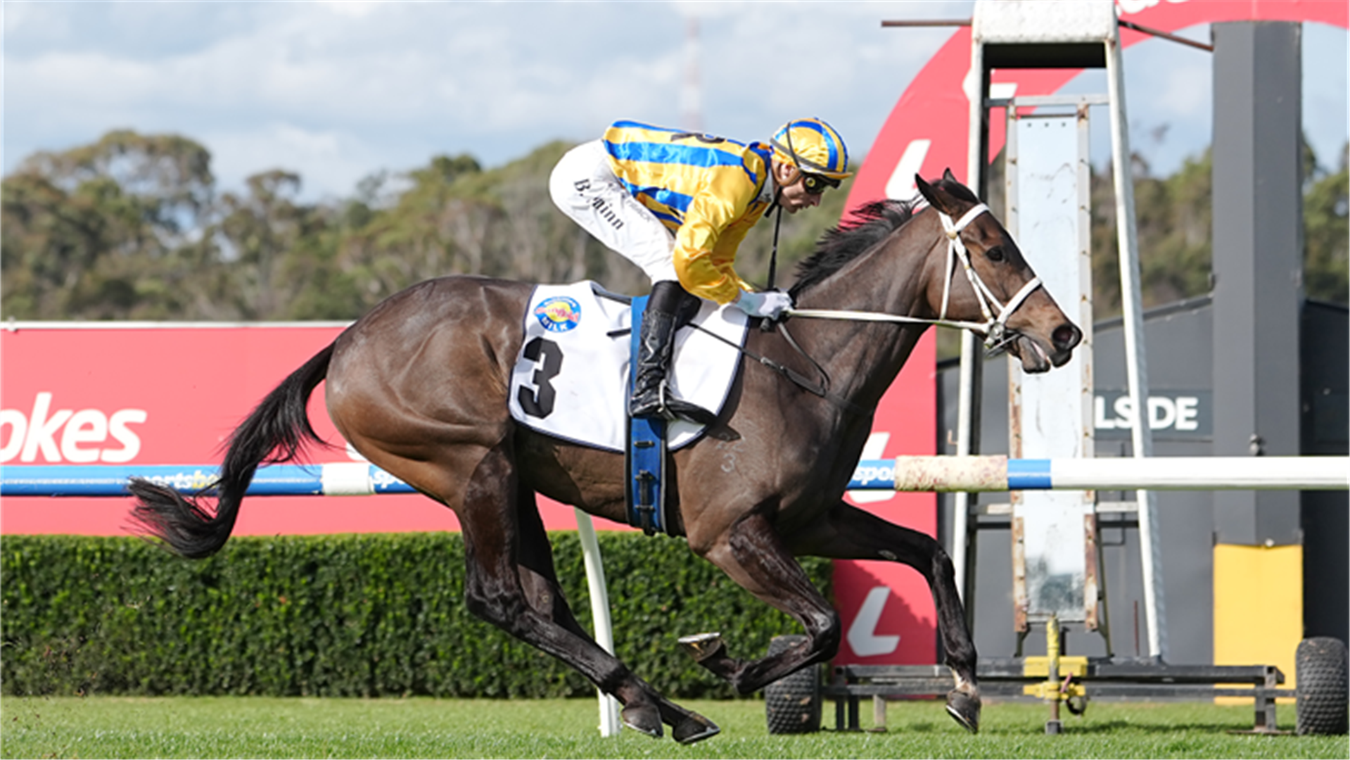 Blind Raise Wins Listed Mcmahons Dairy Mckenzie Stakes Post Race 5163
