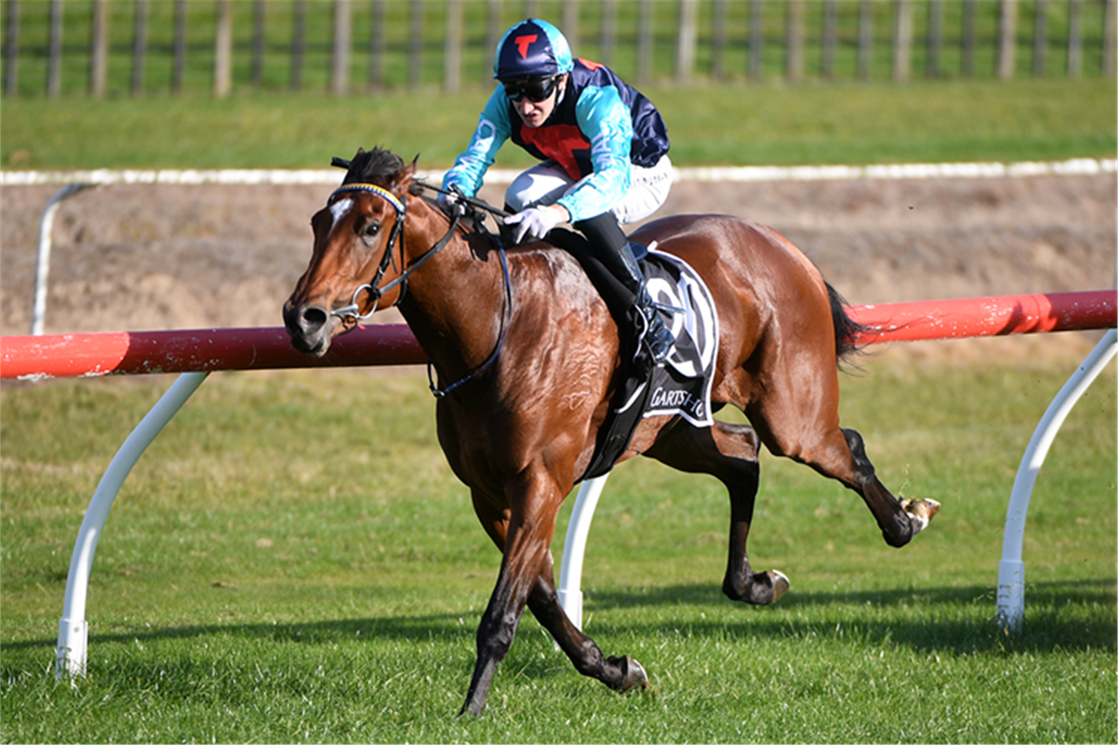 Catwalk Queen Makes Winning Start For Charity | Racing and Sports