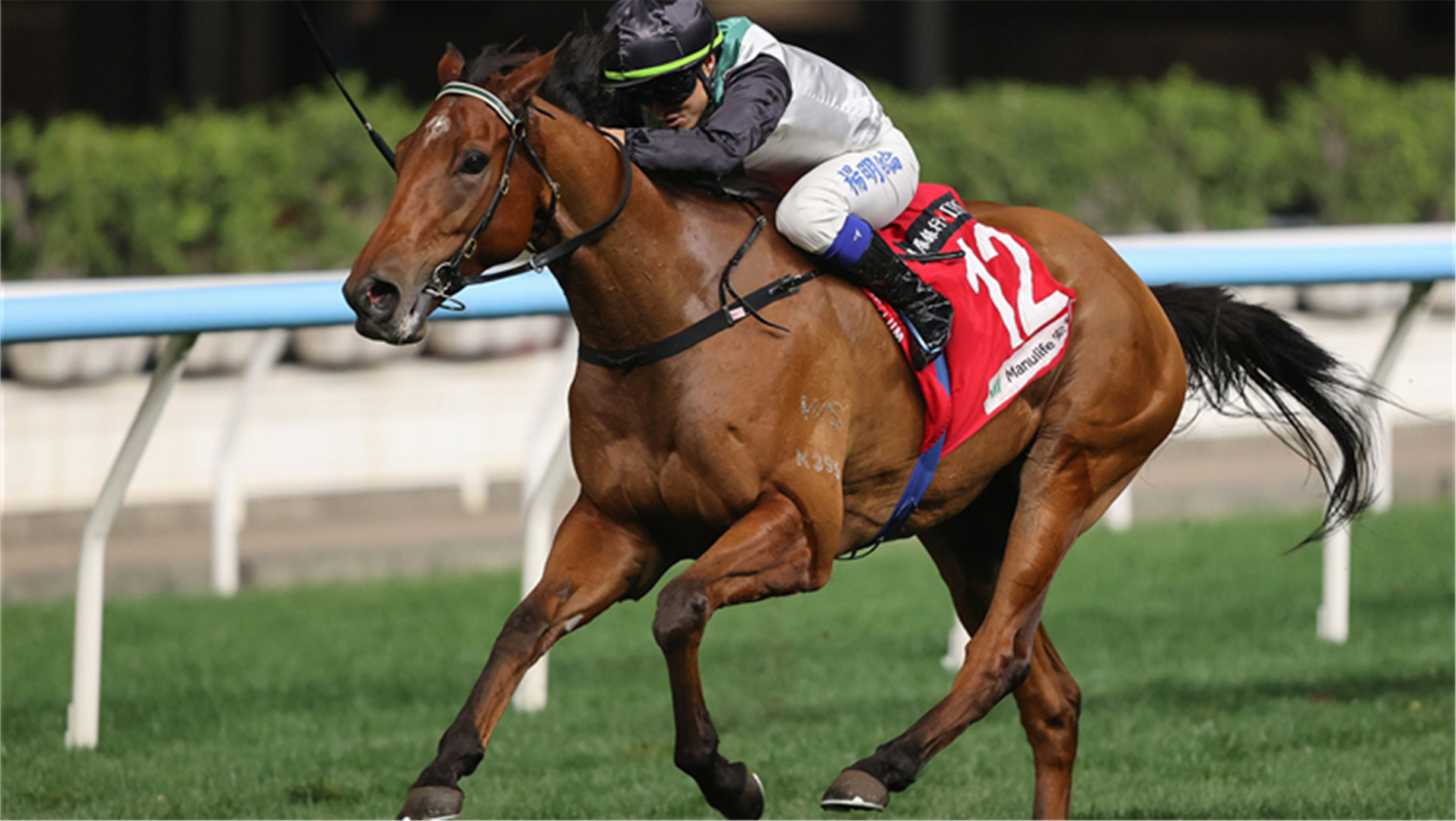 China Win Seeks Late Bmw Hong Kong Derby Berth At Happy Valley | Sky ...