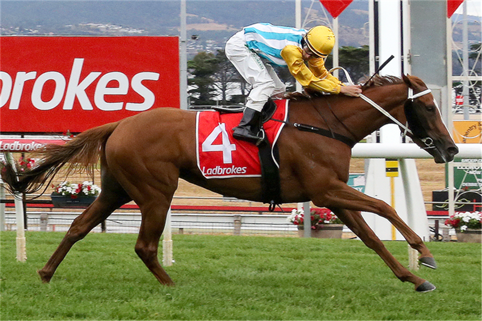 Diva Shows Her Talent | Racing and Sports