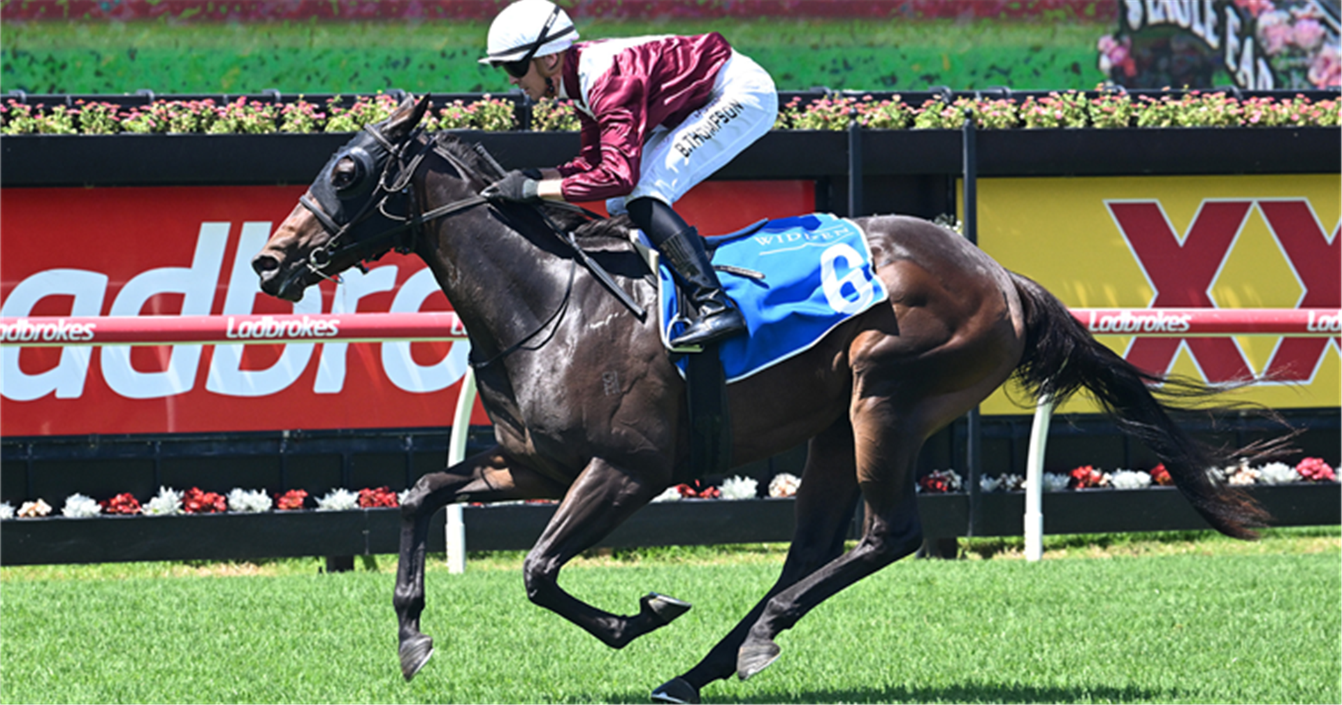 Birchley's Pair's Final Polish Towards 2Yo Million | Sky Racing World ...