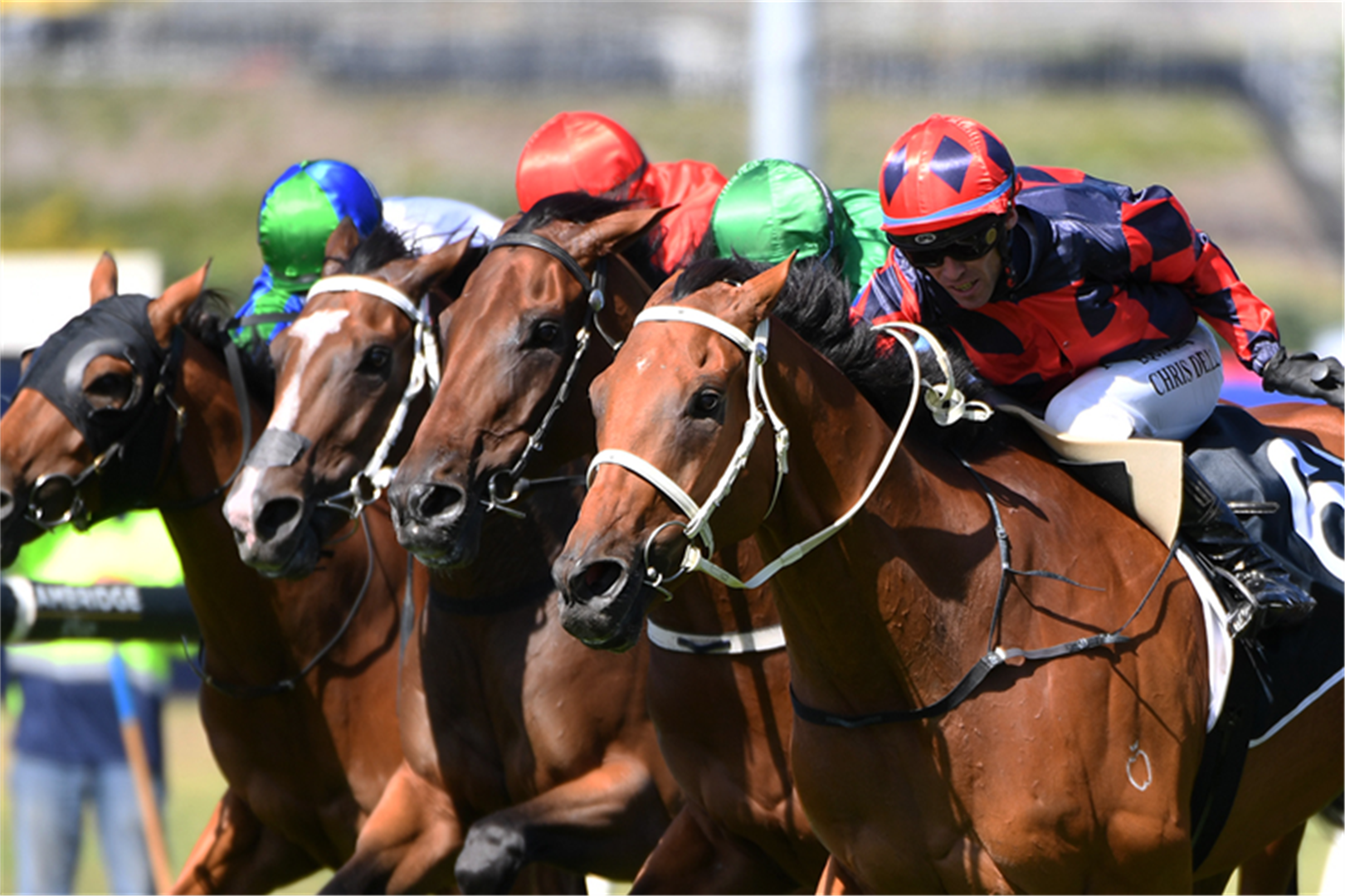 Millar’S Trio In Fine Fettle For Ellerslie Assignments | Racing and Sports